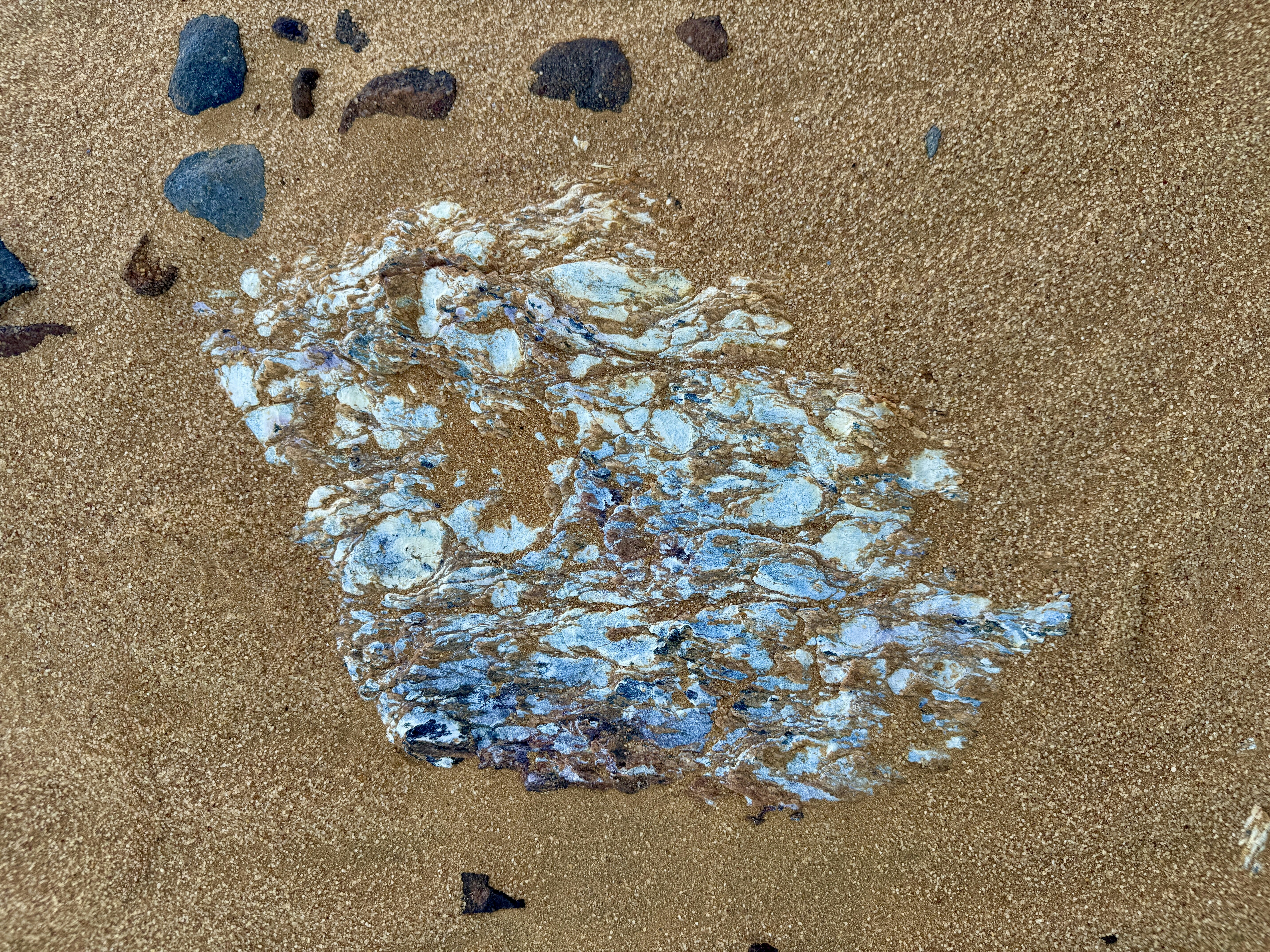 Shimmering Pebble Bed: Blue-Rimmed Fragment on Sandy Shore