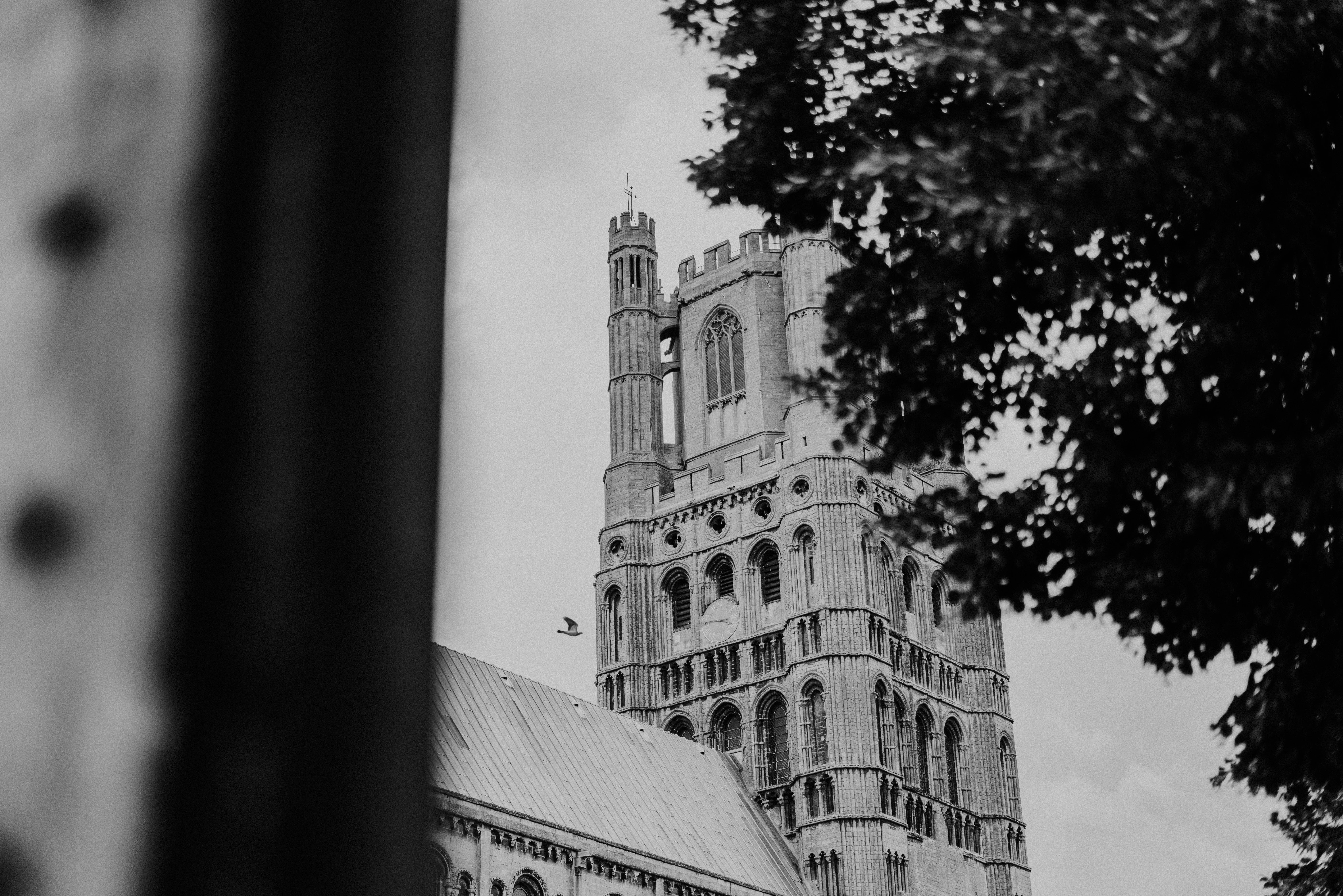 Towered Gaze: A Fragment of Stone and Sky