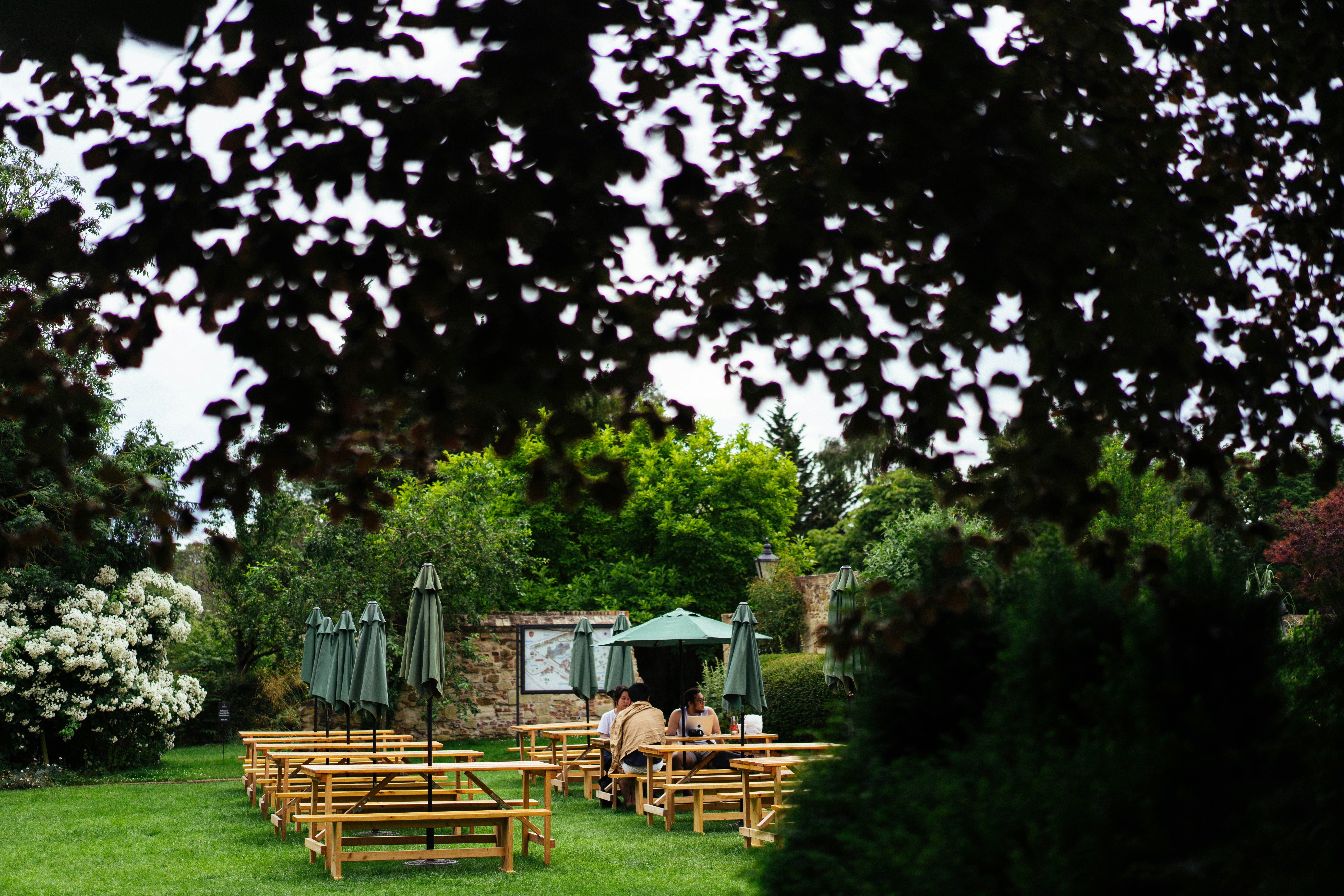 Hidden Terrace: Sunlit Tables Beneath Green Canopy