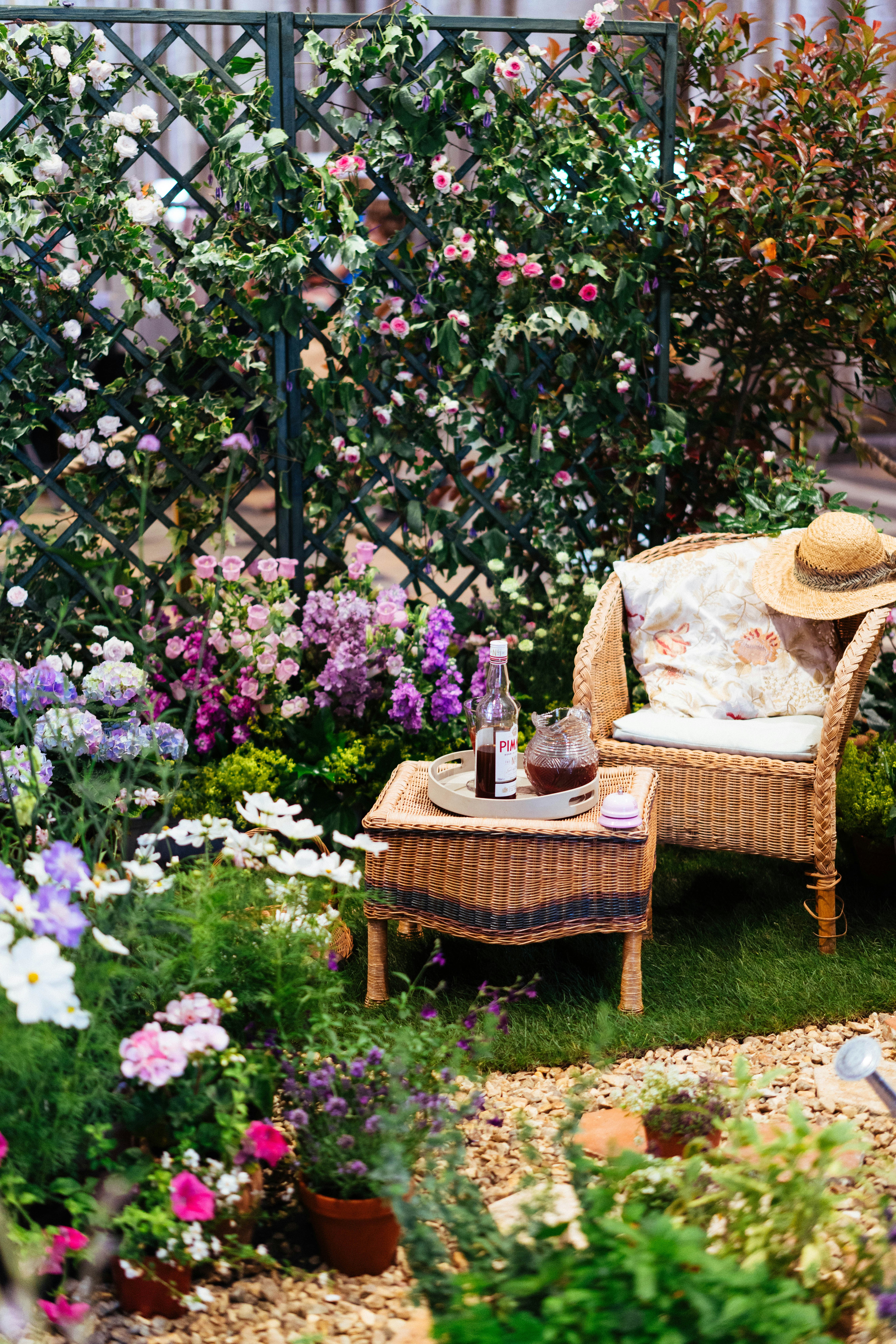 Cozy Garden Corner: Roses, Patio Chair, and Morning Tea