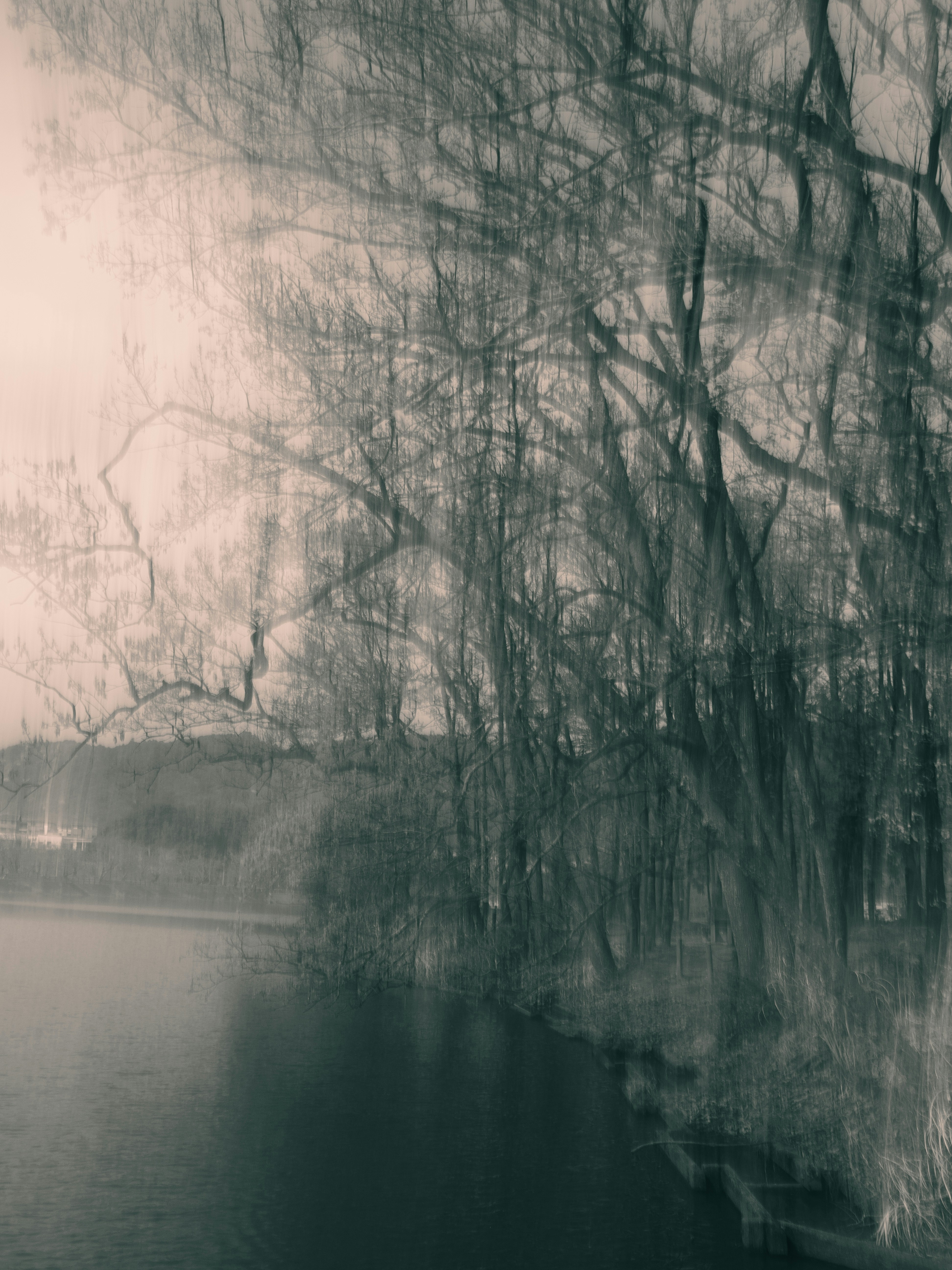 Stillness by the Water: Winter Trees at Dusk