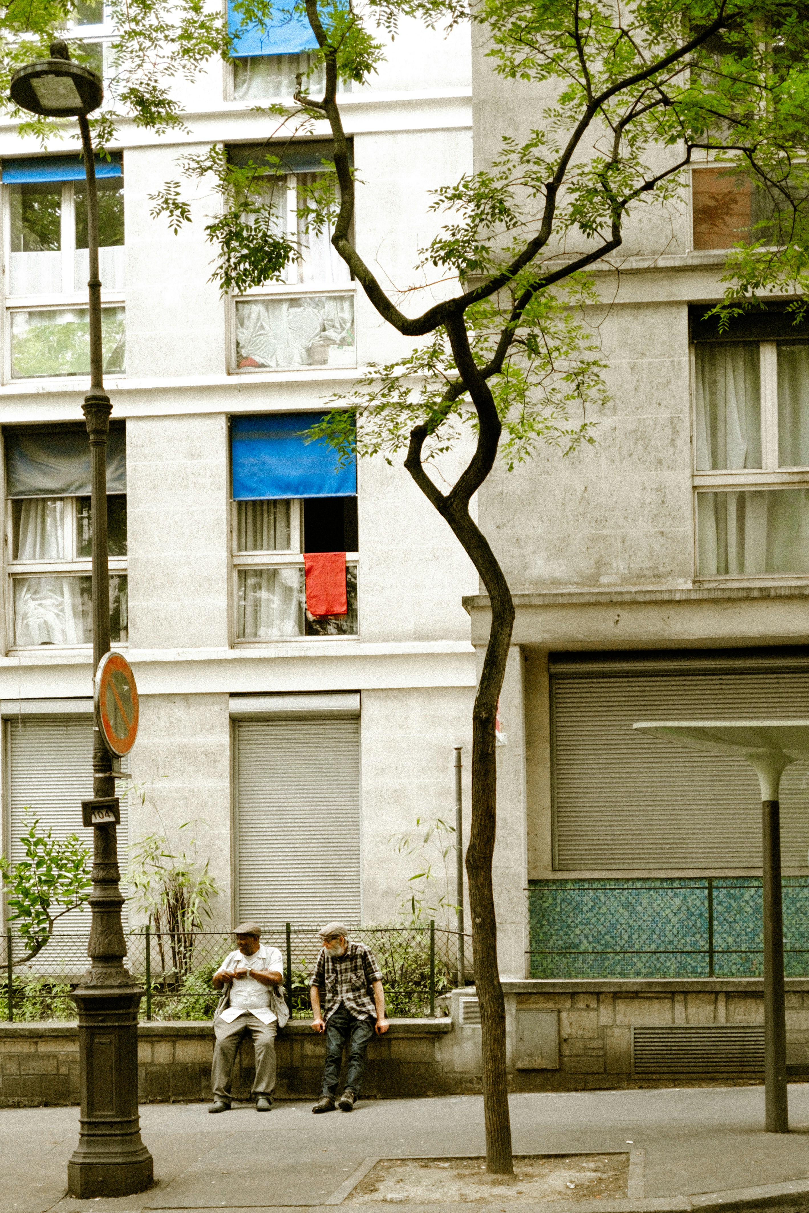 Urban Lattice: Tree, Window, and Two Passersby