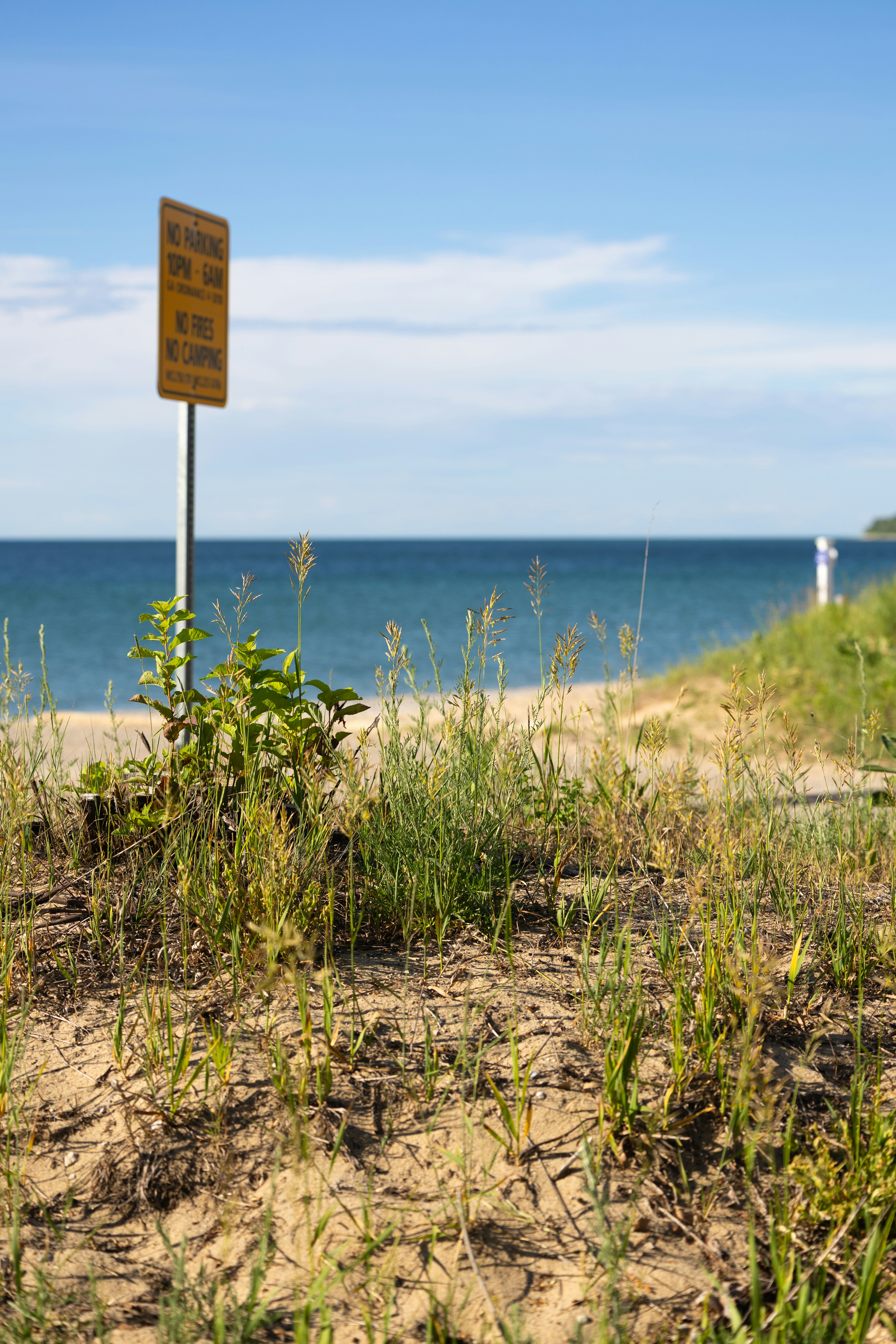 Coastal Dune Signage Framed by Wild Grass and Sea