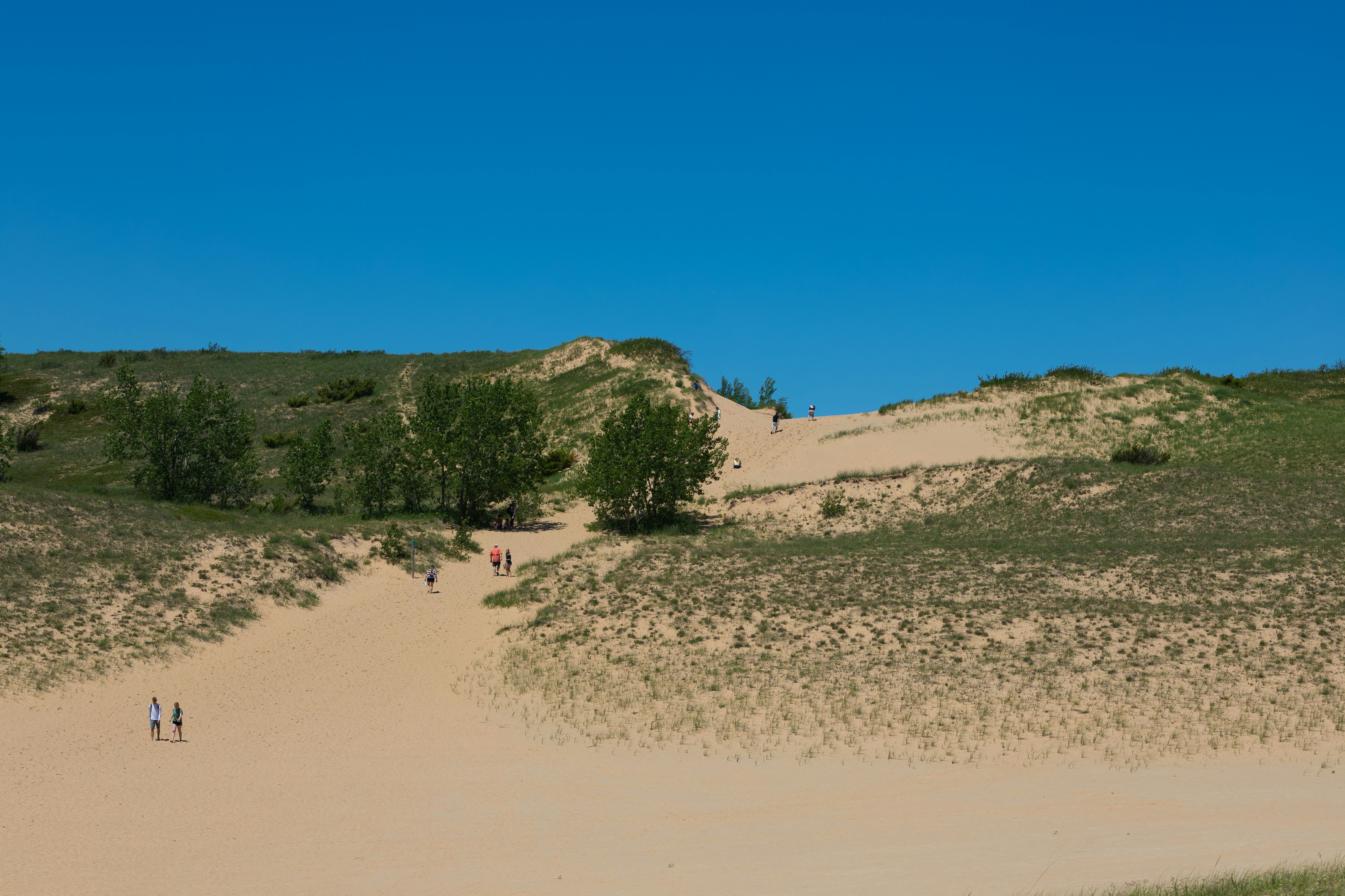 Dune Crest with Footpath Silhouettes Against a Clear Sky