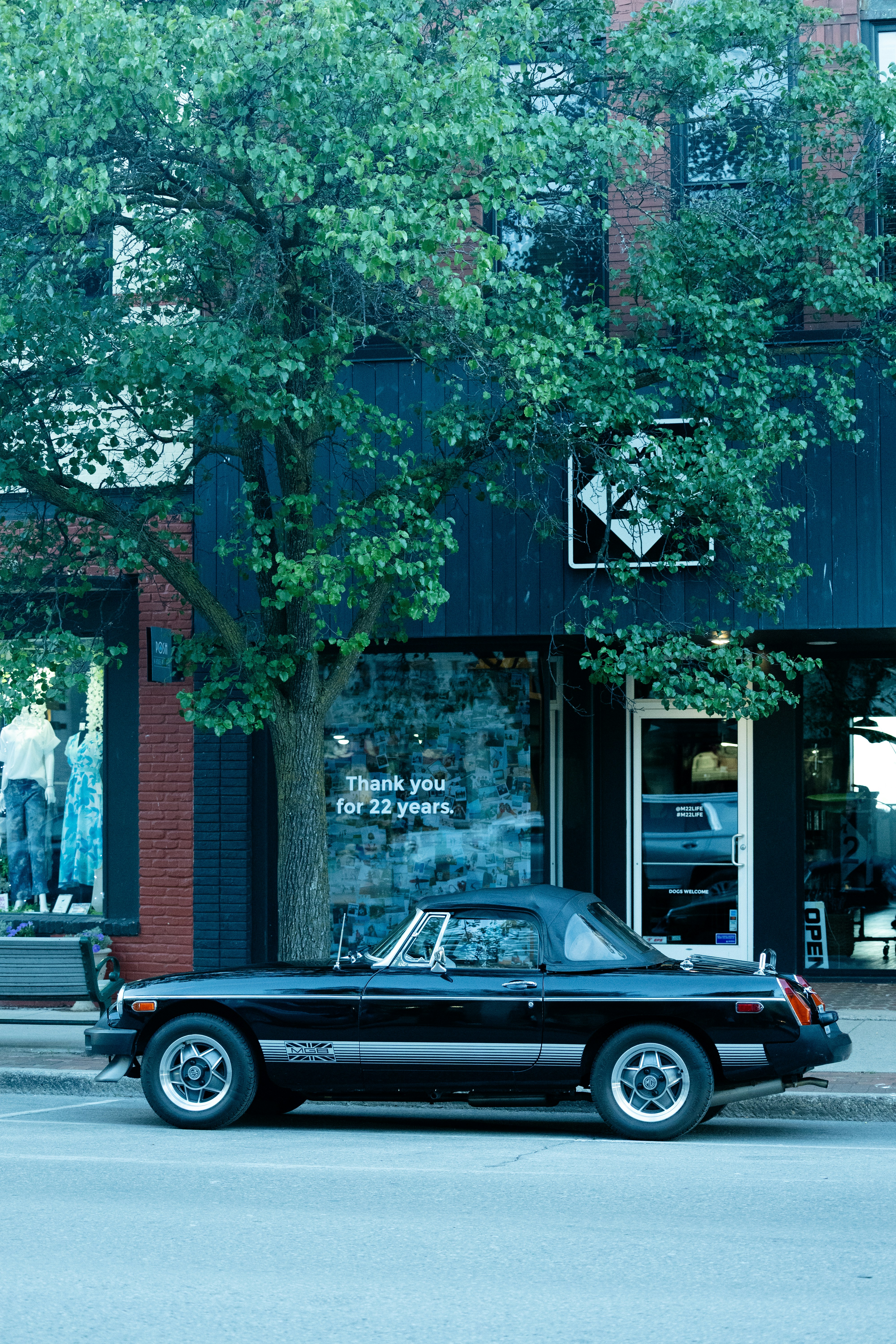 Classic Convertible Resting Under Green Canopy in Urban Quiet