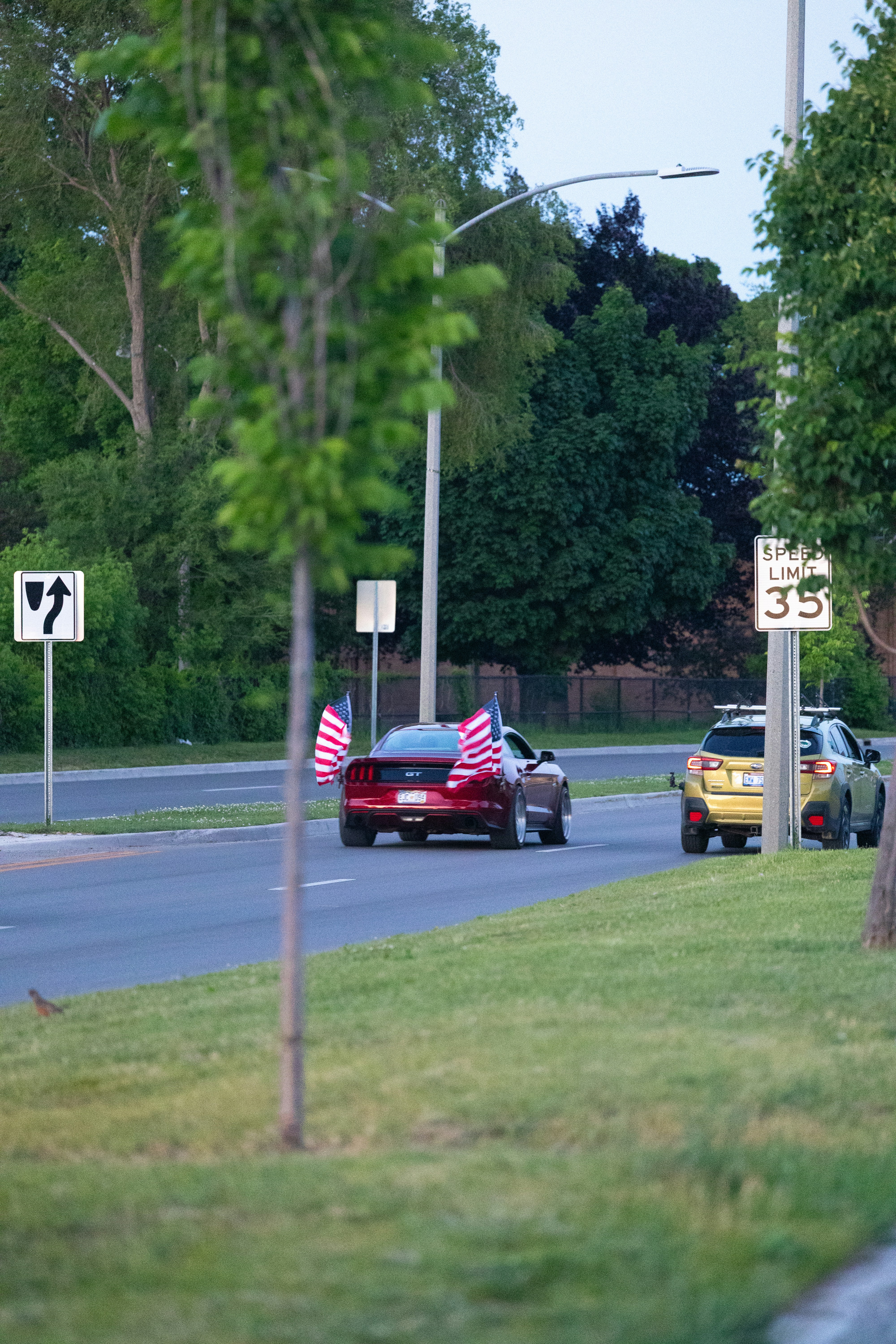 Patriotic drive: flags flutter from a red sports car on a sunlit suburban road