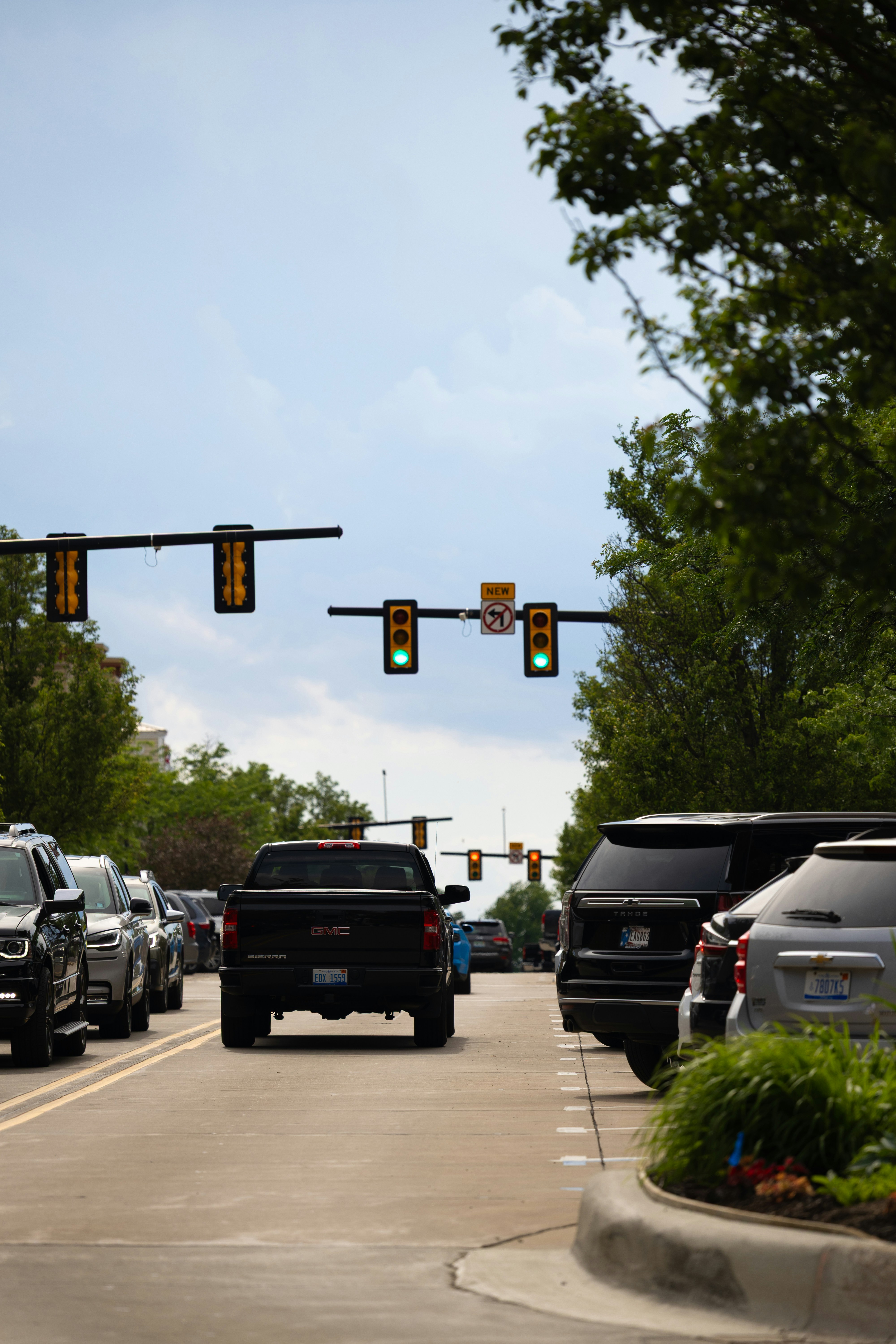 Waiting at the Signal: Traffic Line Stretches Toward a Vanishing Horizon