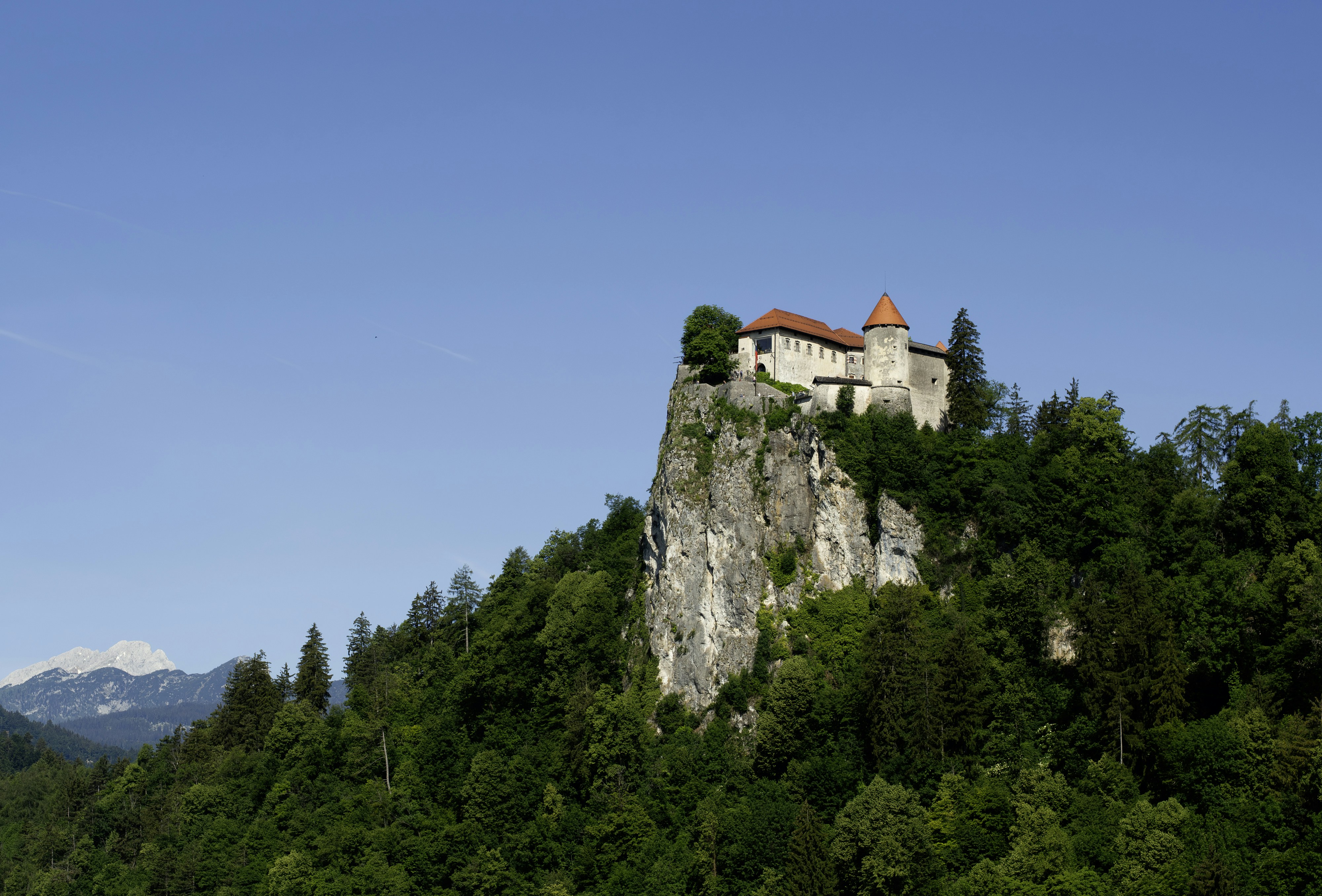 Castle atop the forested cliff under a clear blue sky