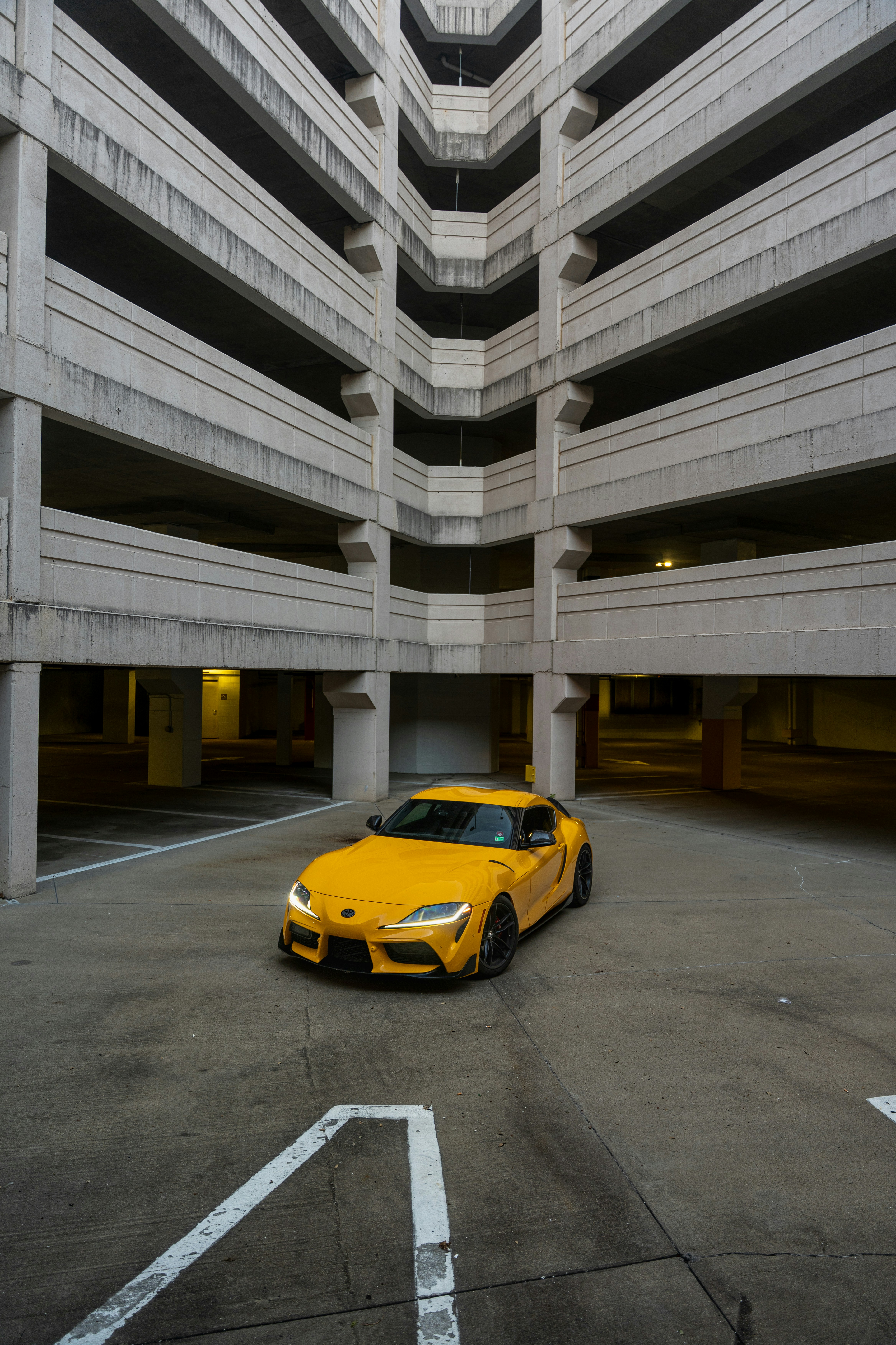 Sunlit Viper in a Concrete Atrium