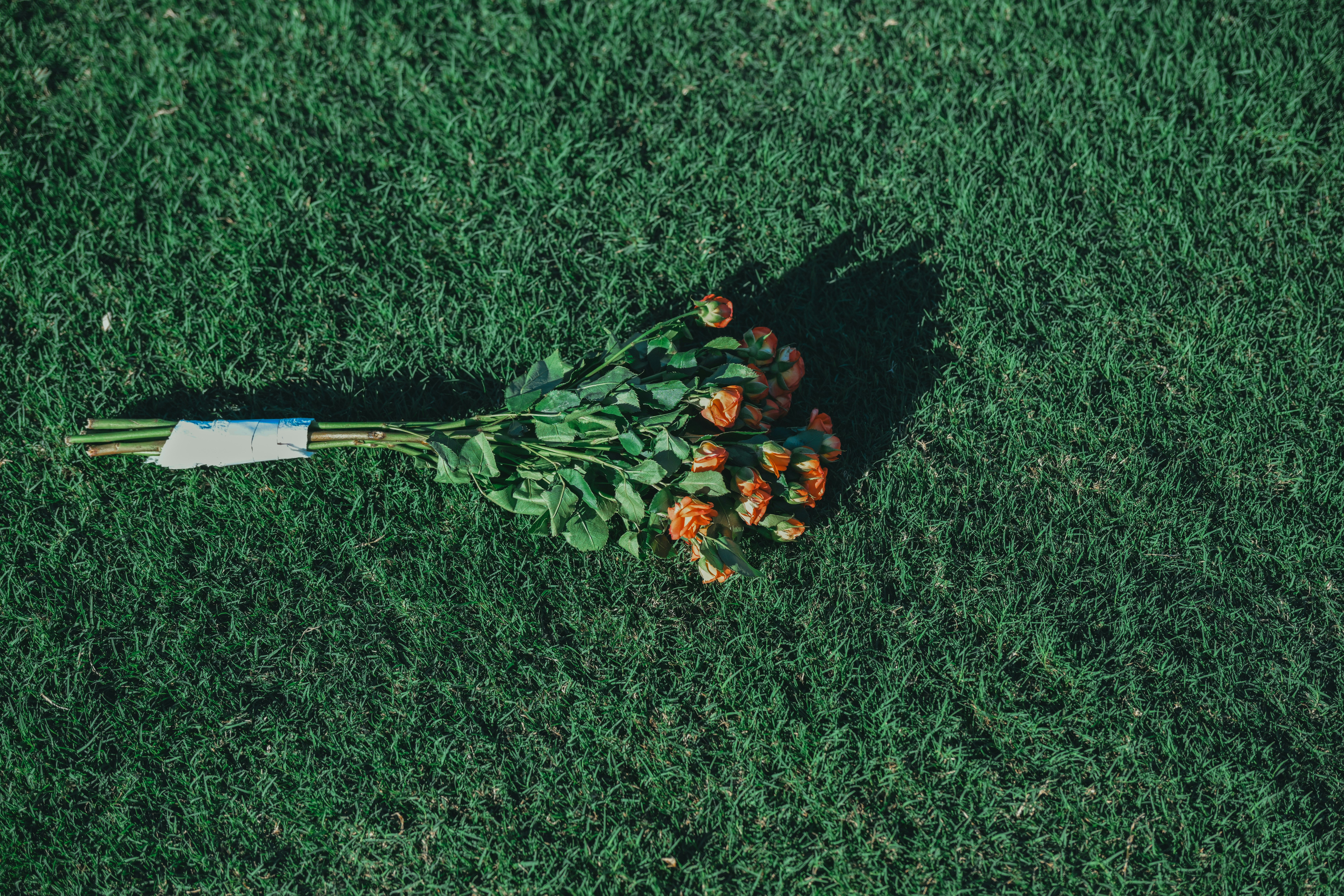 Bouquet on Grass: Orange Roses Resting in Evening Light