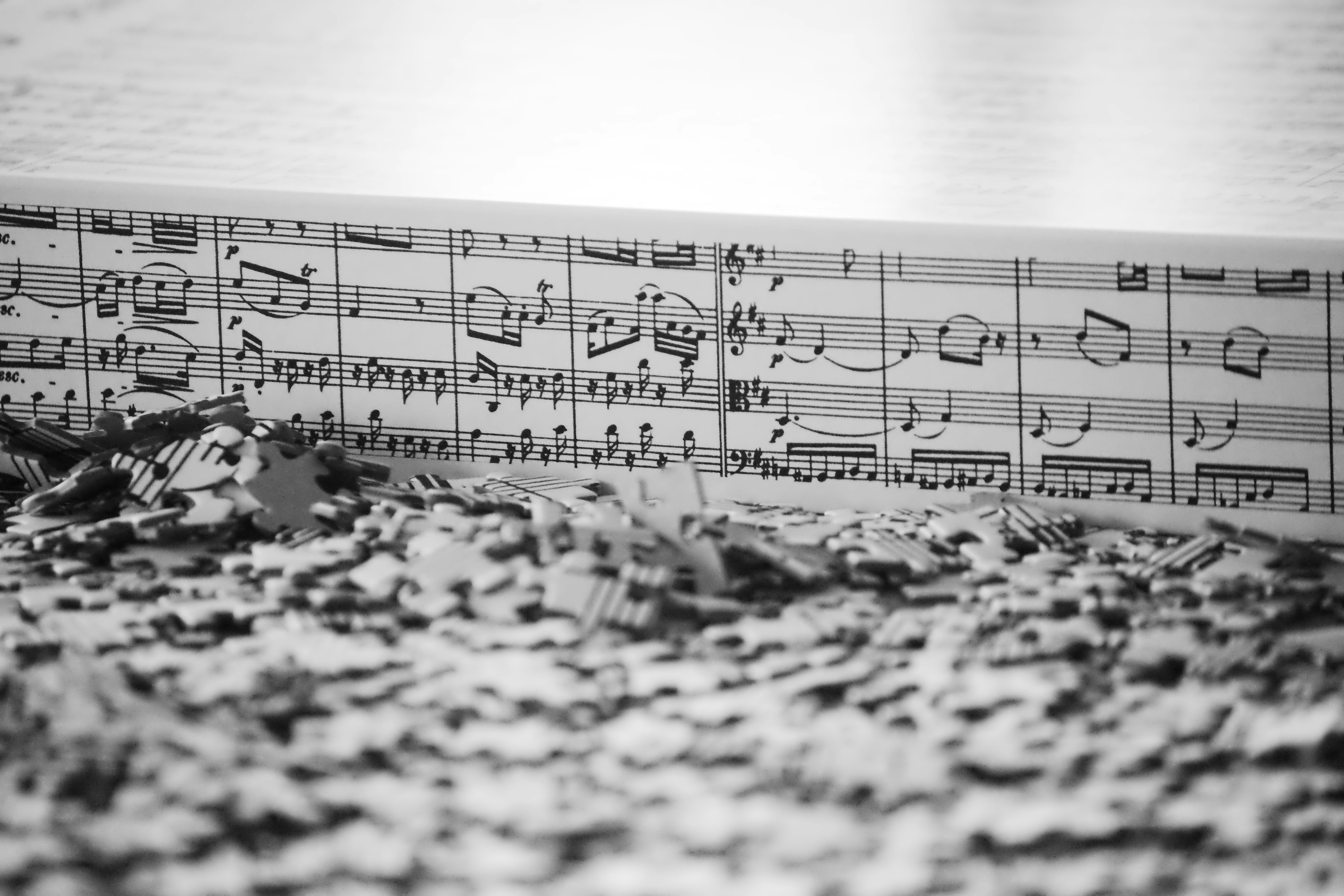 Sheet Overflow: Faded Music on Fallen Leaves