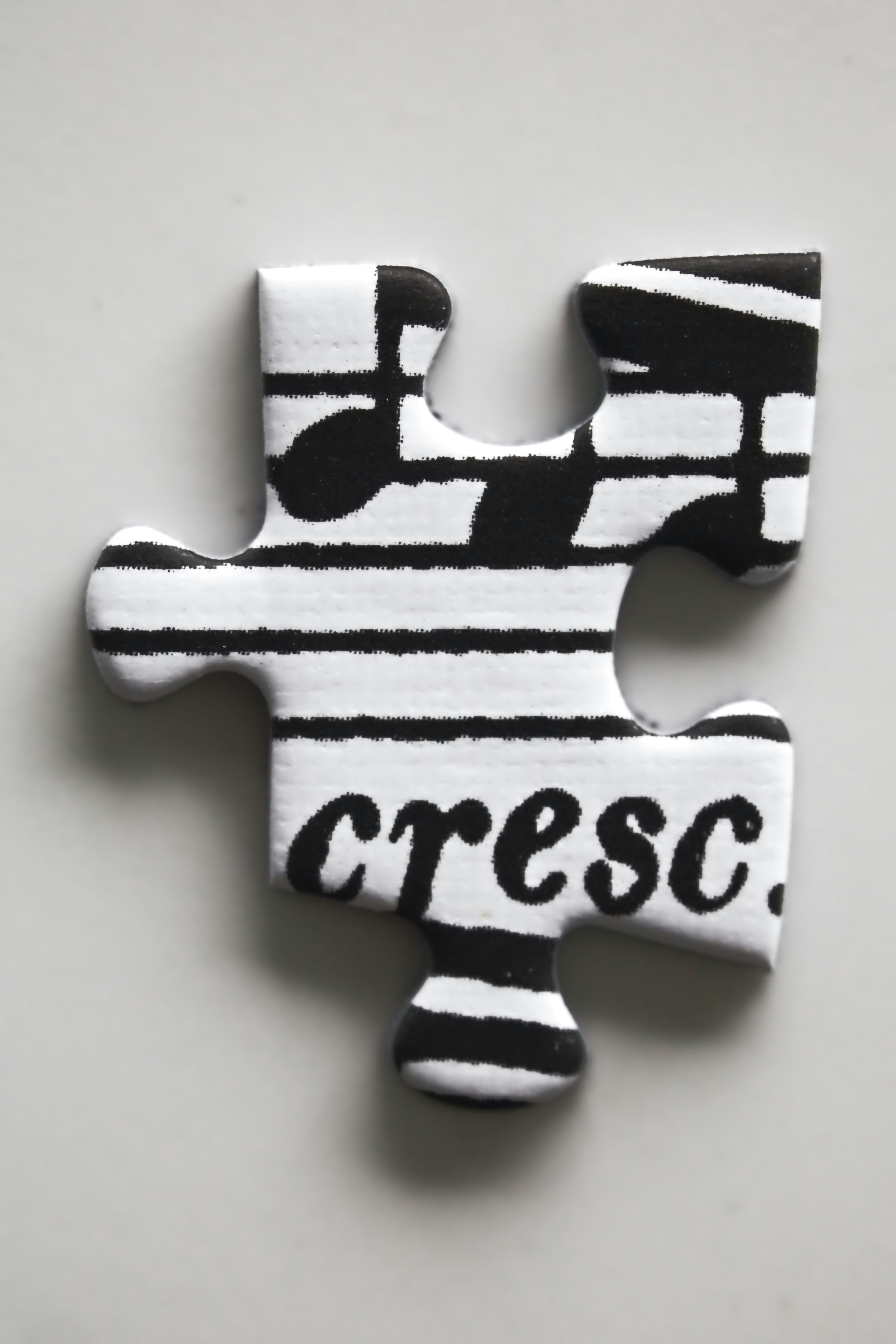 Puzzle Piece: A Monochrome Moment of Curiosity