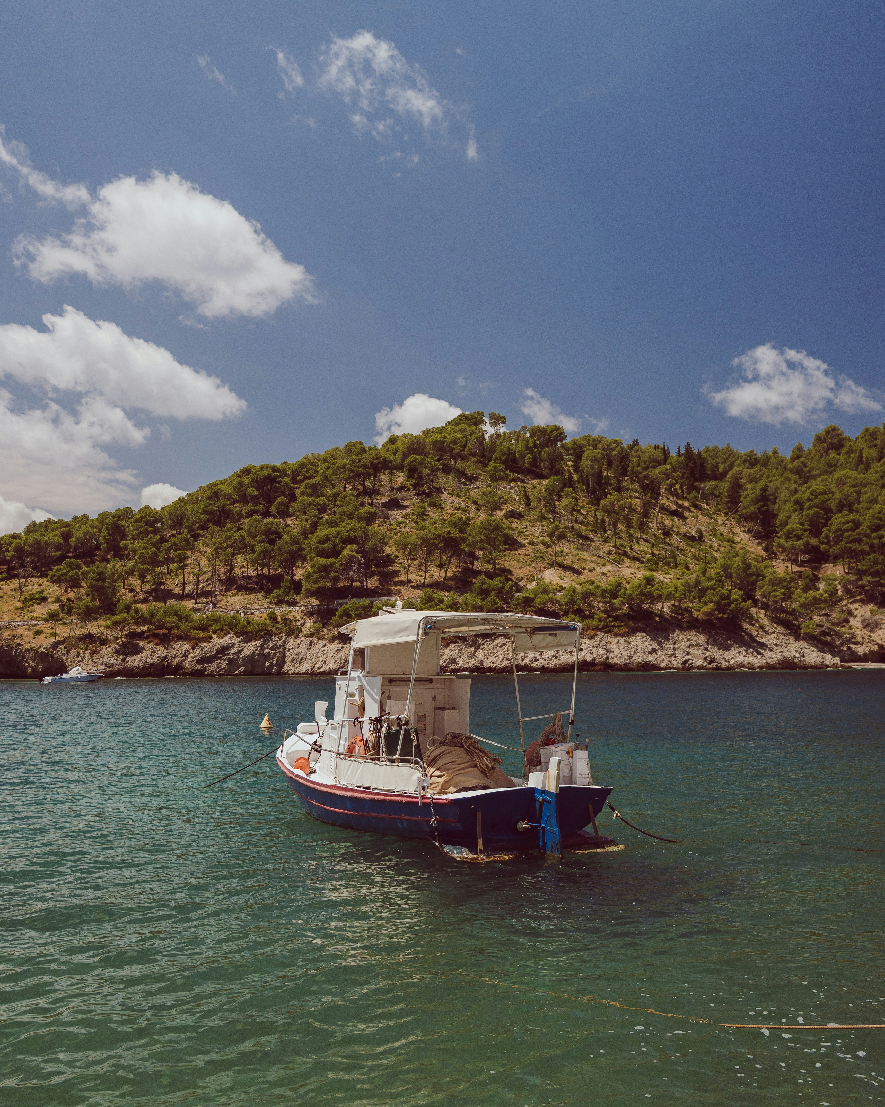 Boat anchored in a turquoise cove beneath pine-covered cliffs