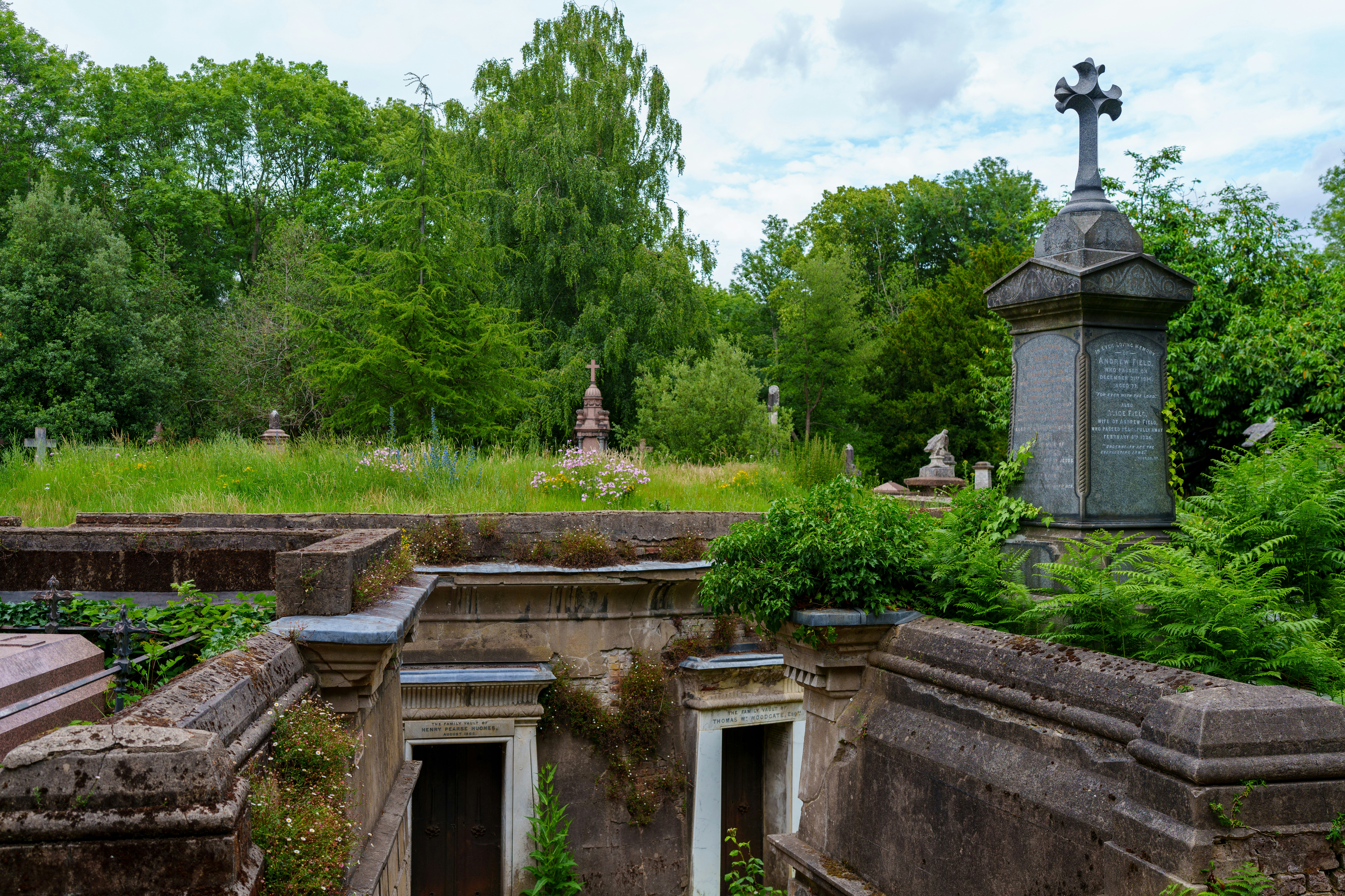 Overgrown Tombs and a Stone Cross in a Quiet Cemetery
