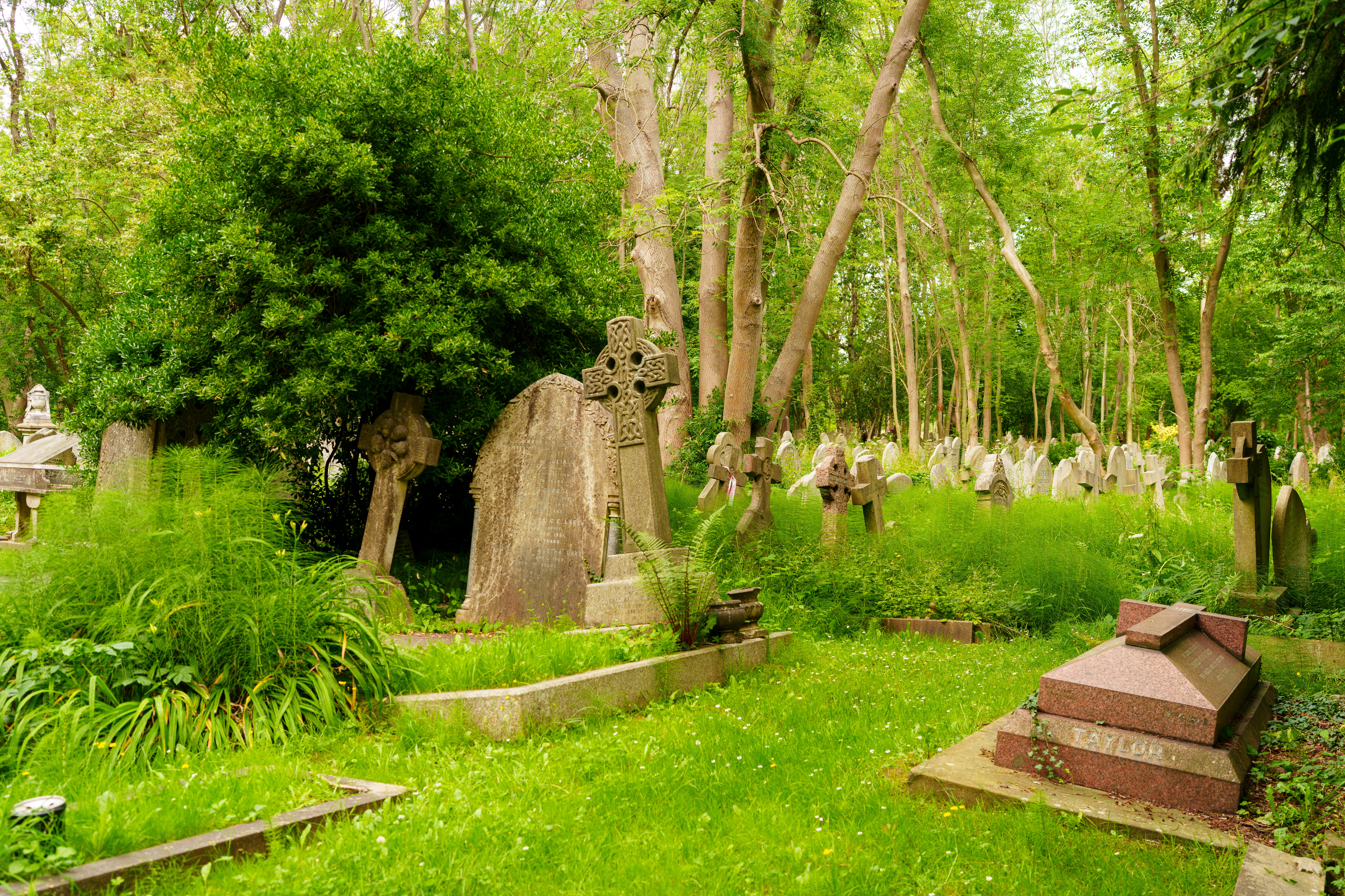 Whispers Among the Stones: A Quiet Cemetery Amid Greenery