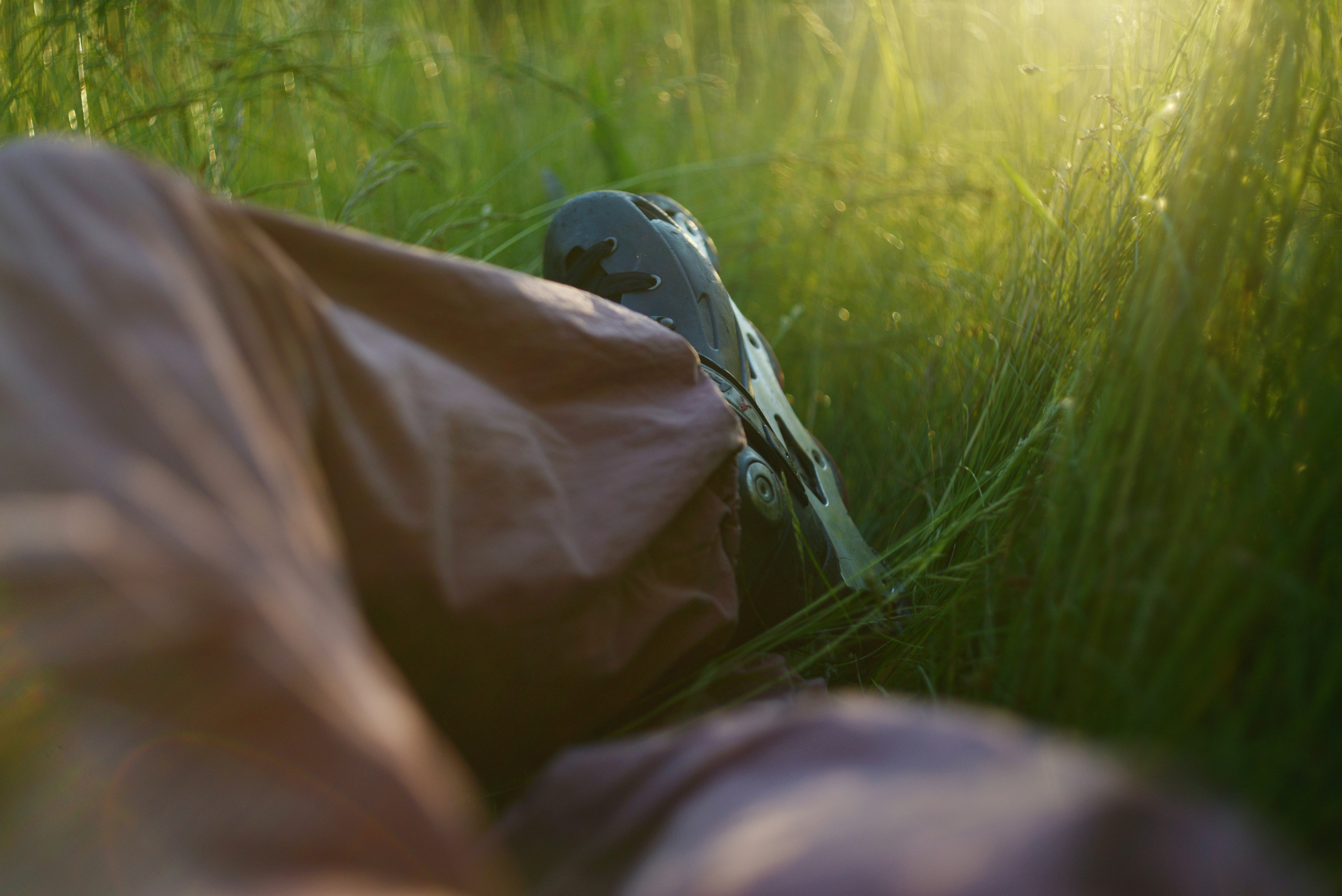 Hidden Footpath: A Glimpse Through Grass and Gear