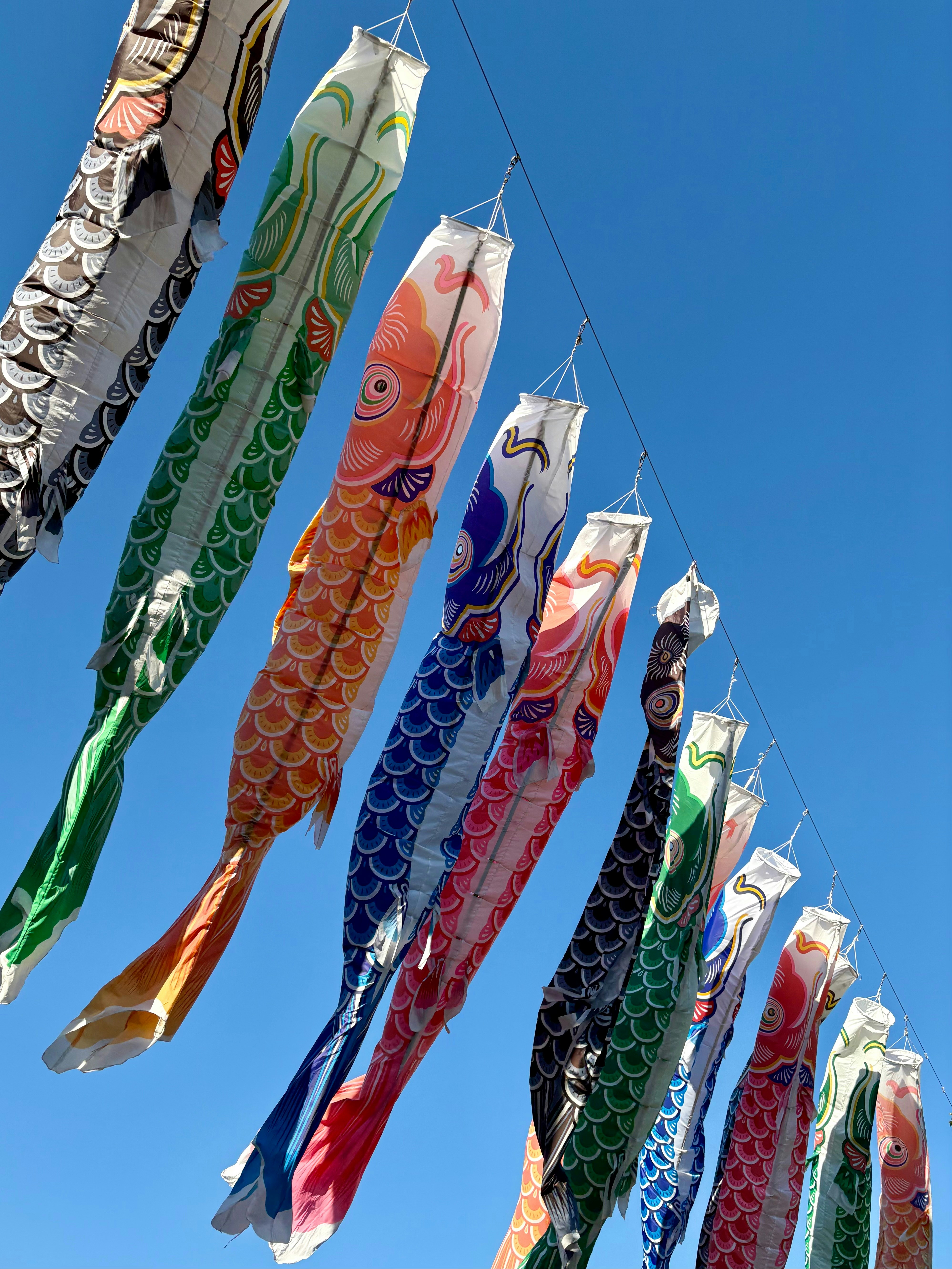 Colorful Stream of Koinobori Against a Clear Blue Sky