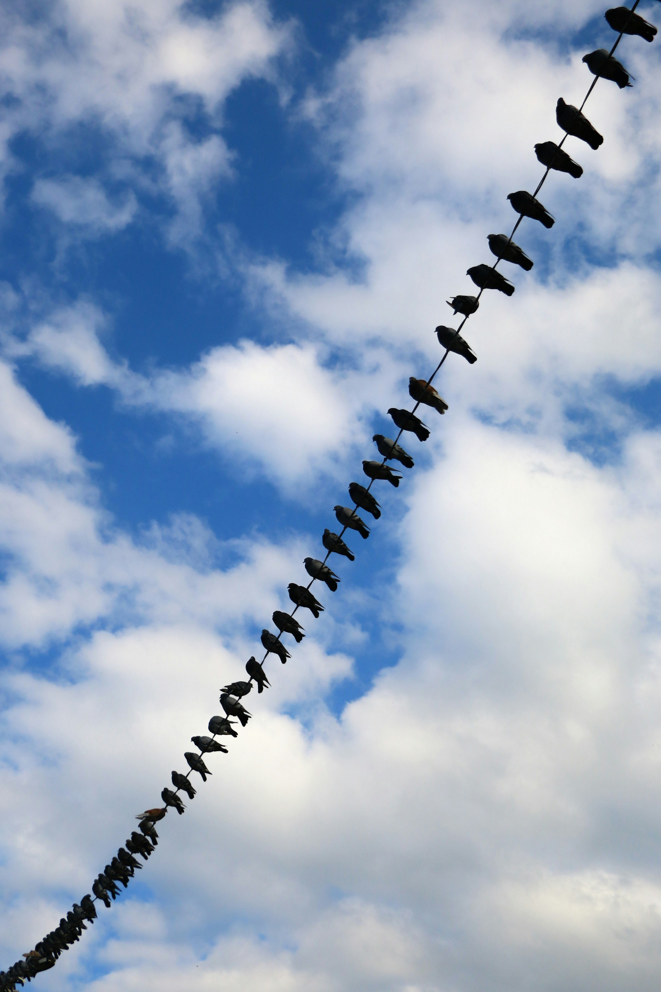 Line of silhouettes against a sweeping blue sky