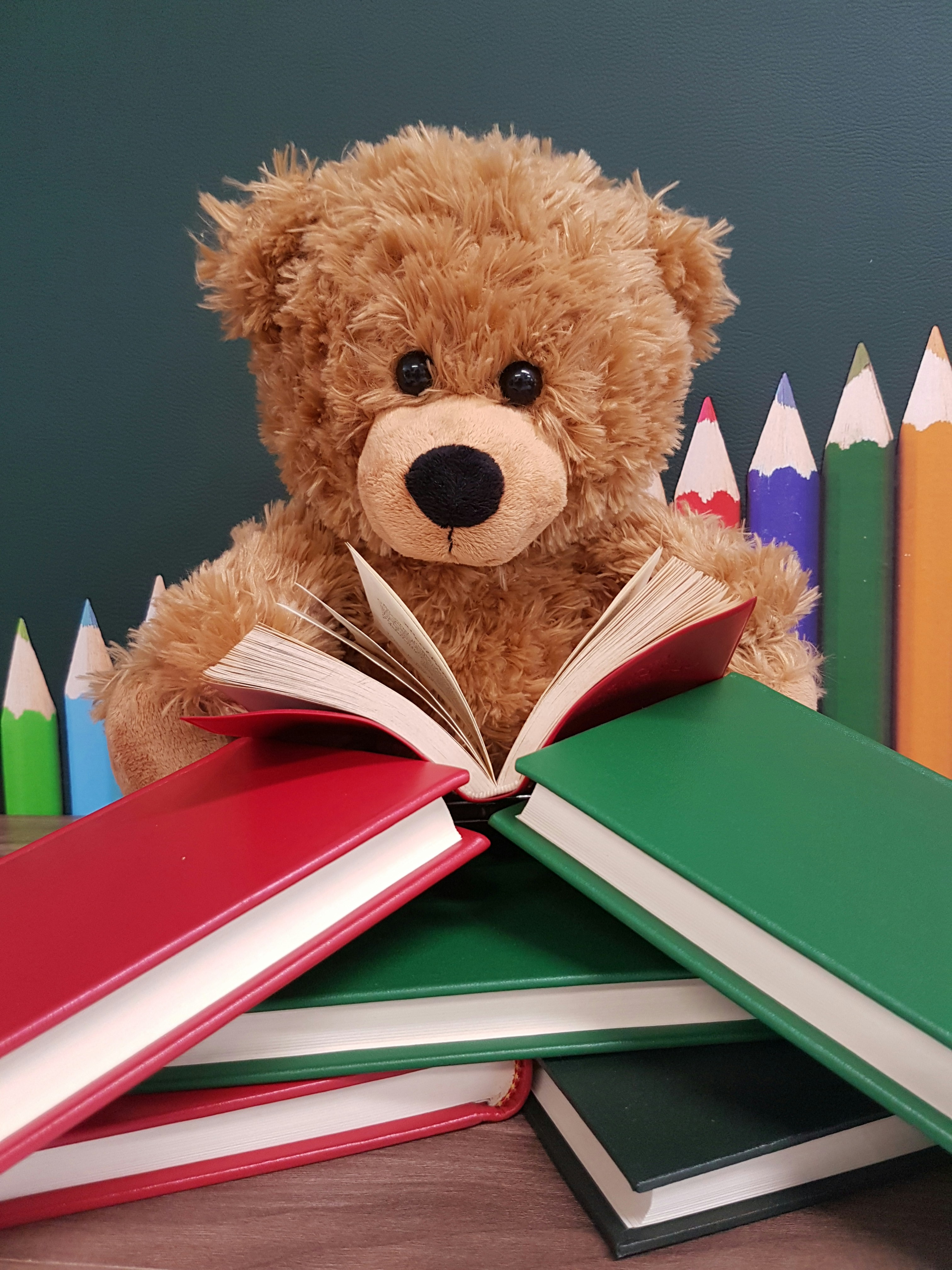 Teddy Tutor: A Plush Reader Surrounded by Colorful Stacks