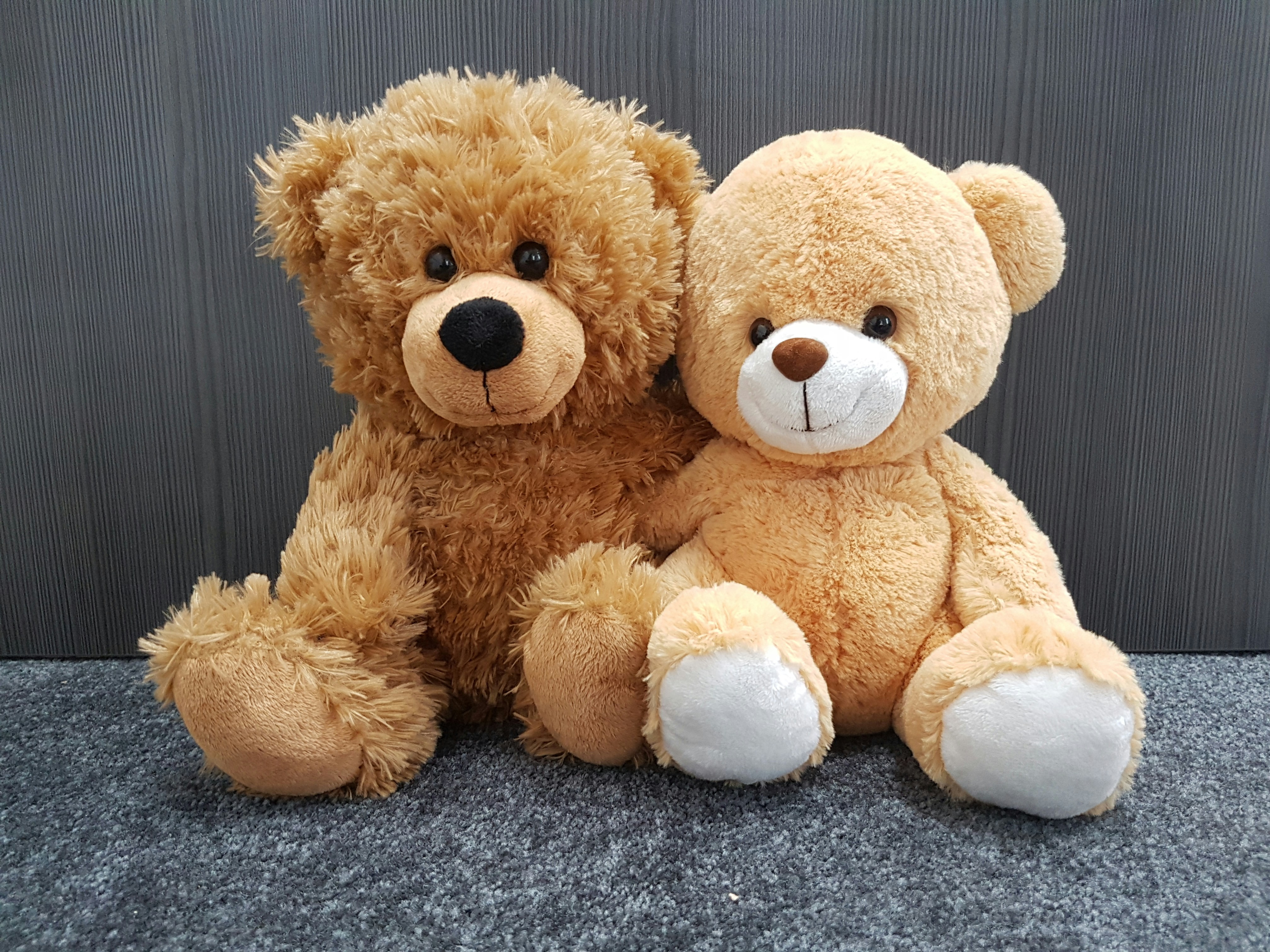 Two Plush Companions Seated Side by Side