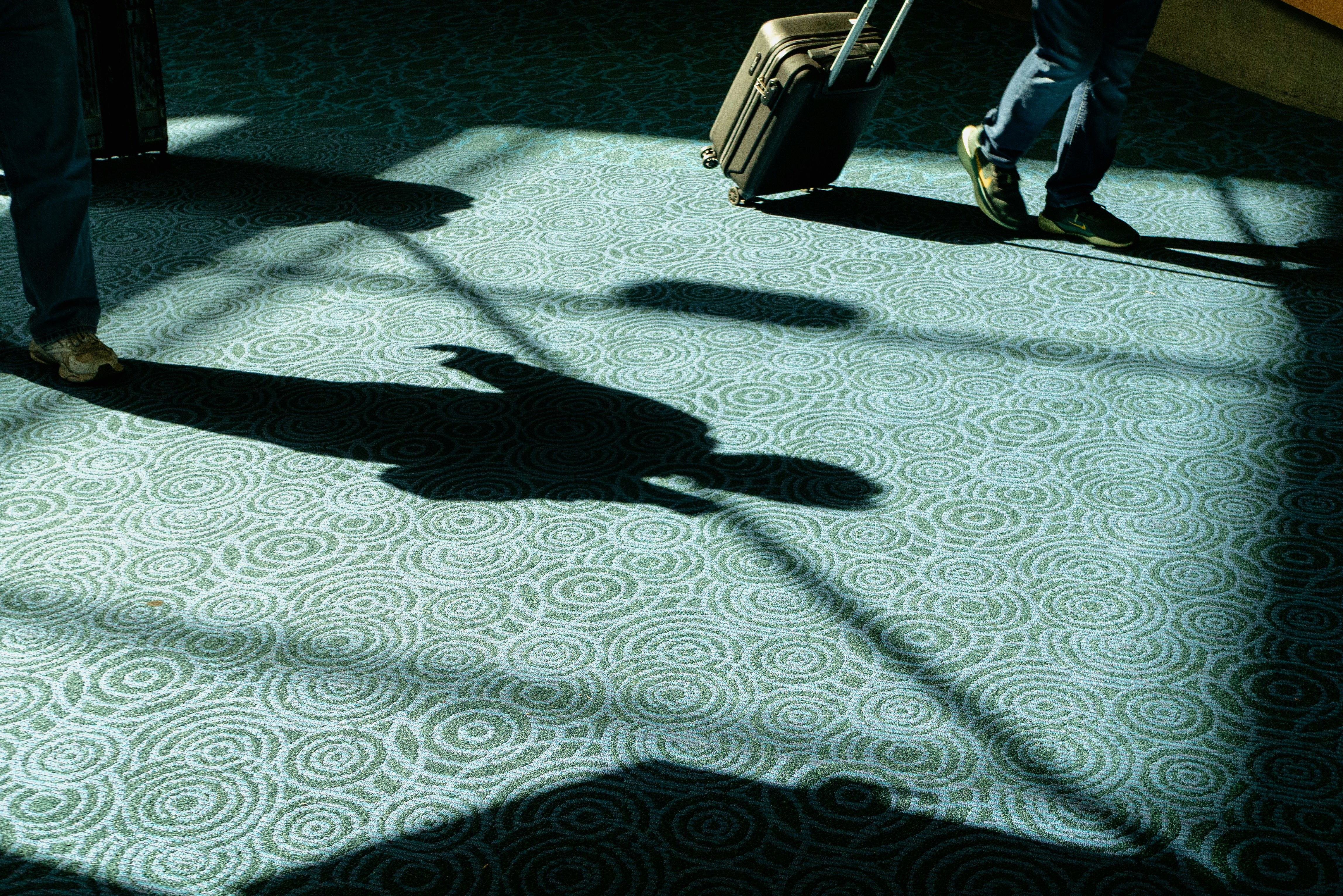 Travelers in Shadow: A Quiet Corridor of Footprints