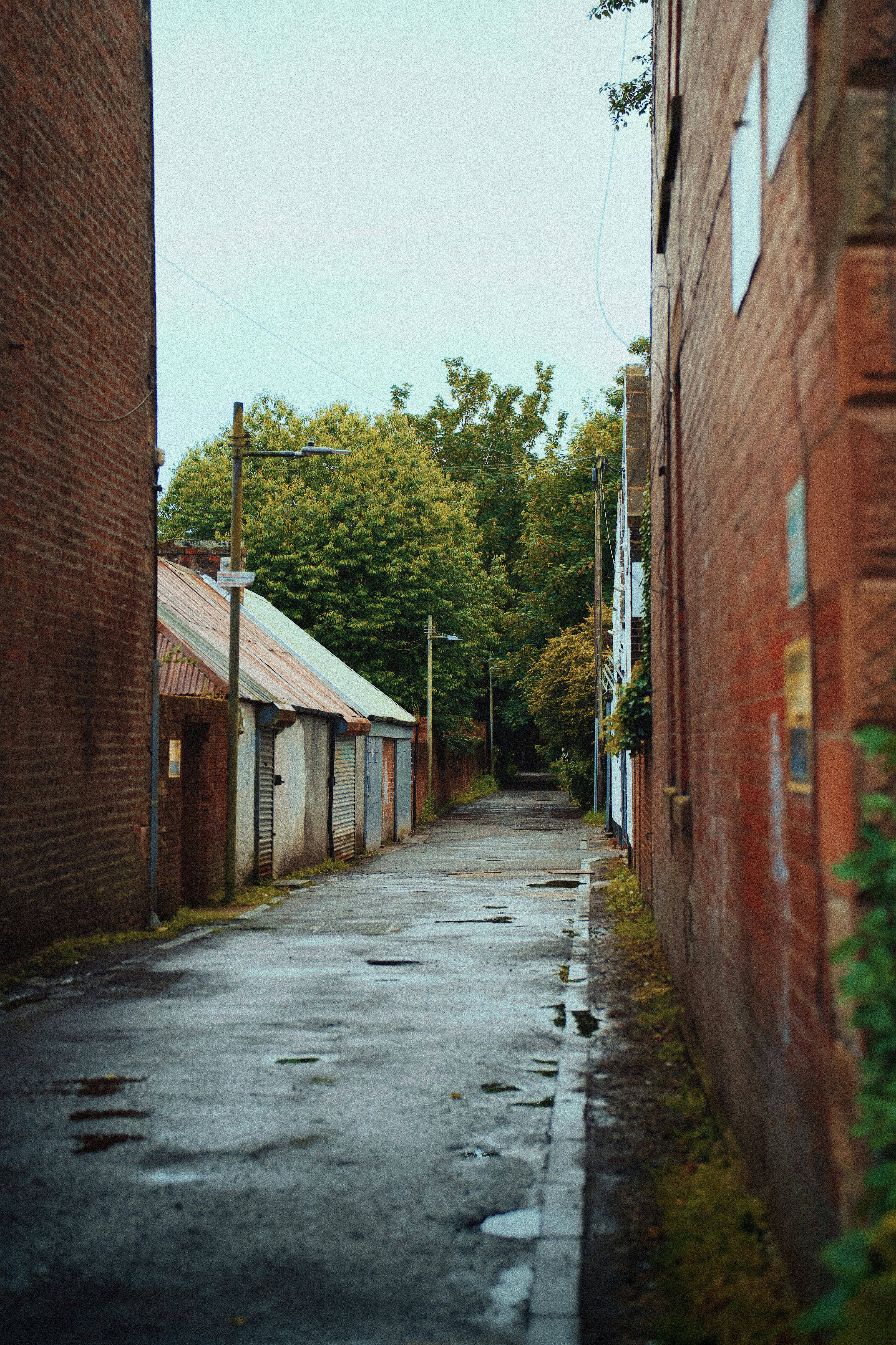 A Quiet Alleyway Between Brick Giants