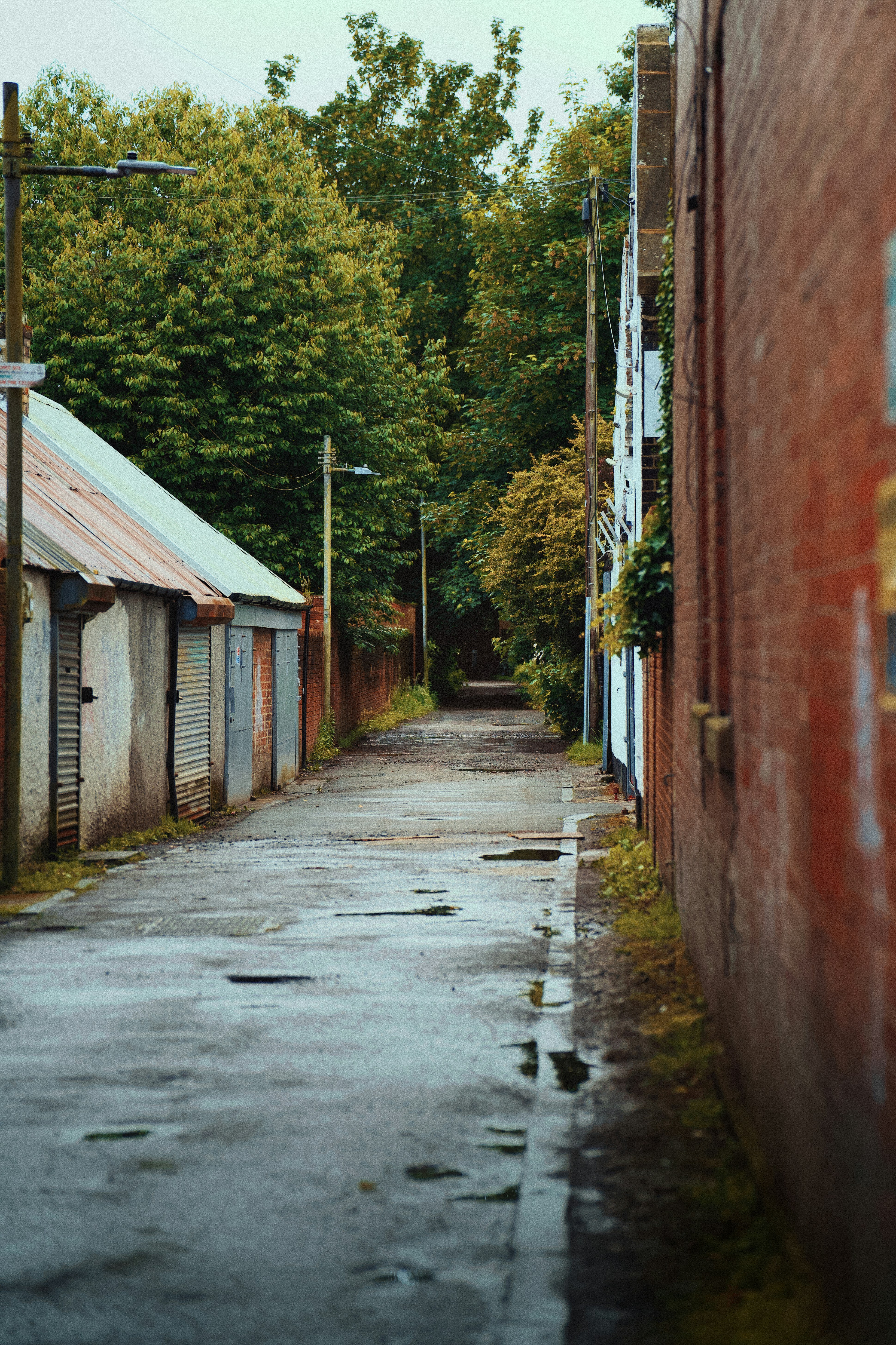 Narrow Alley Closure: Green Canopies Framing a Quiet Urban Fade