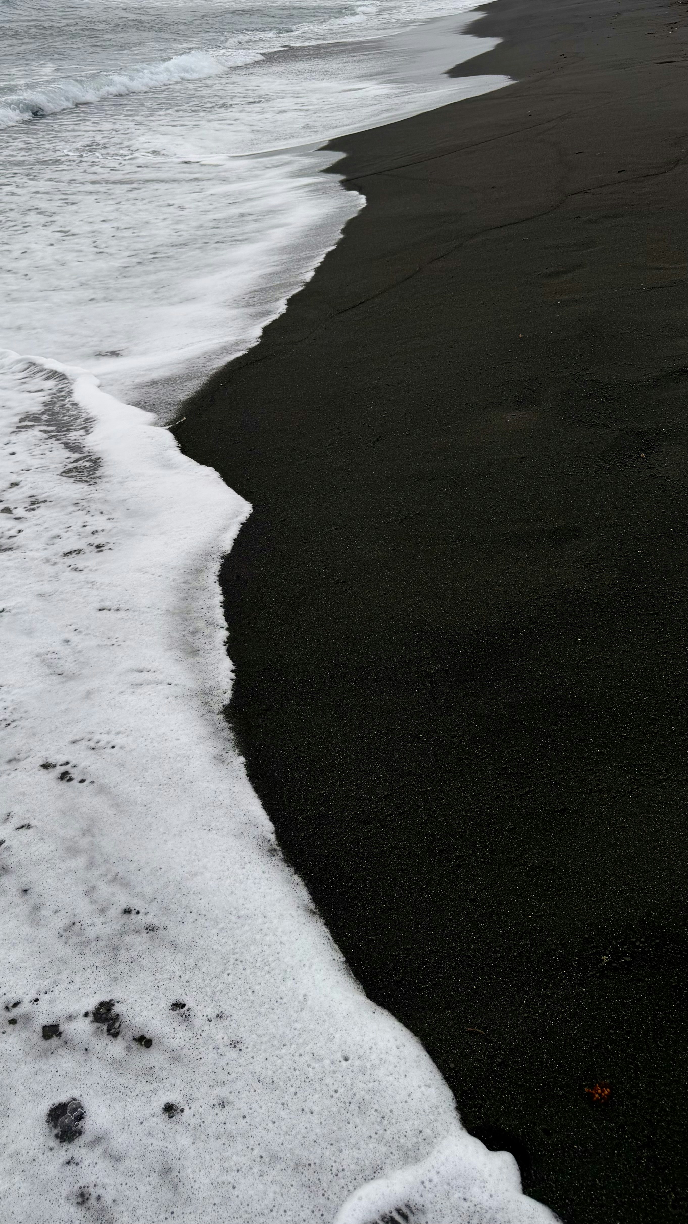 Edge of the Tide: Black Sand Shoreline with Foamy Return