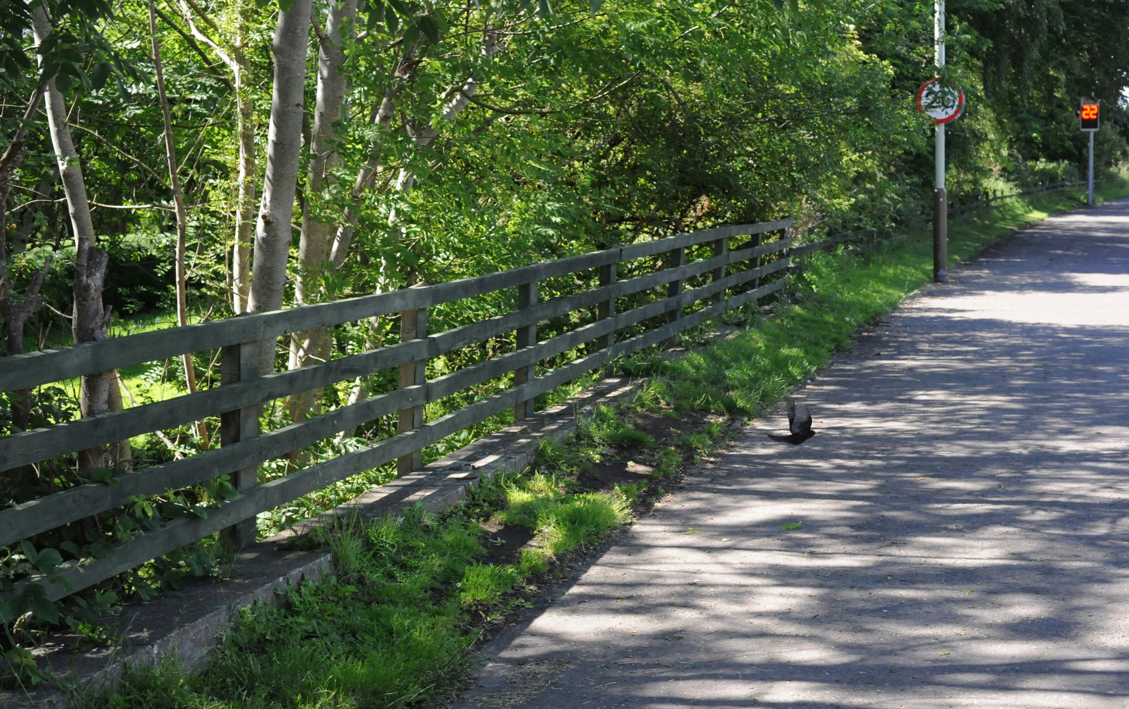 Quiet Riverside Path: Shadowed Trail and Wooden Fence