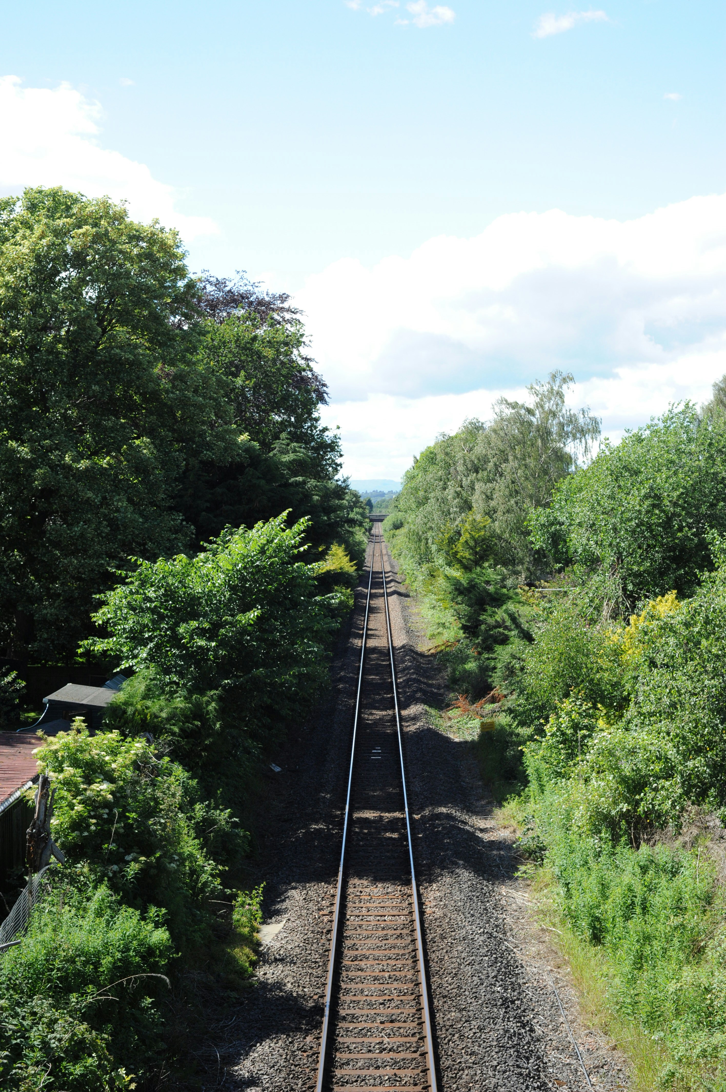 Lonely Railcar Pathway: A Quiet Wake Through Dense Greenery
