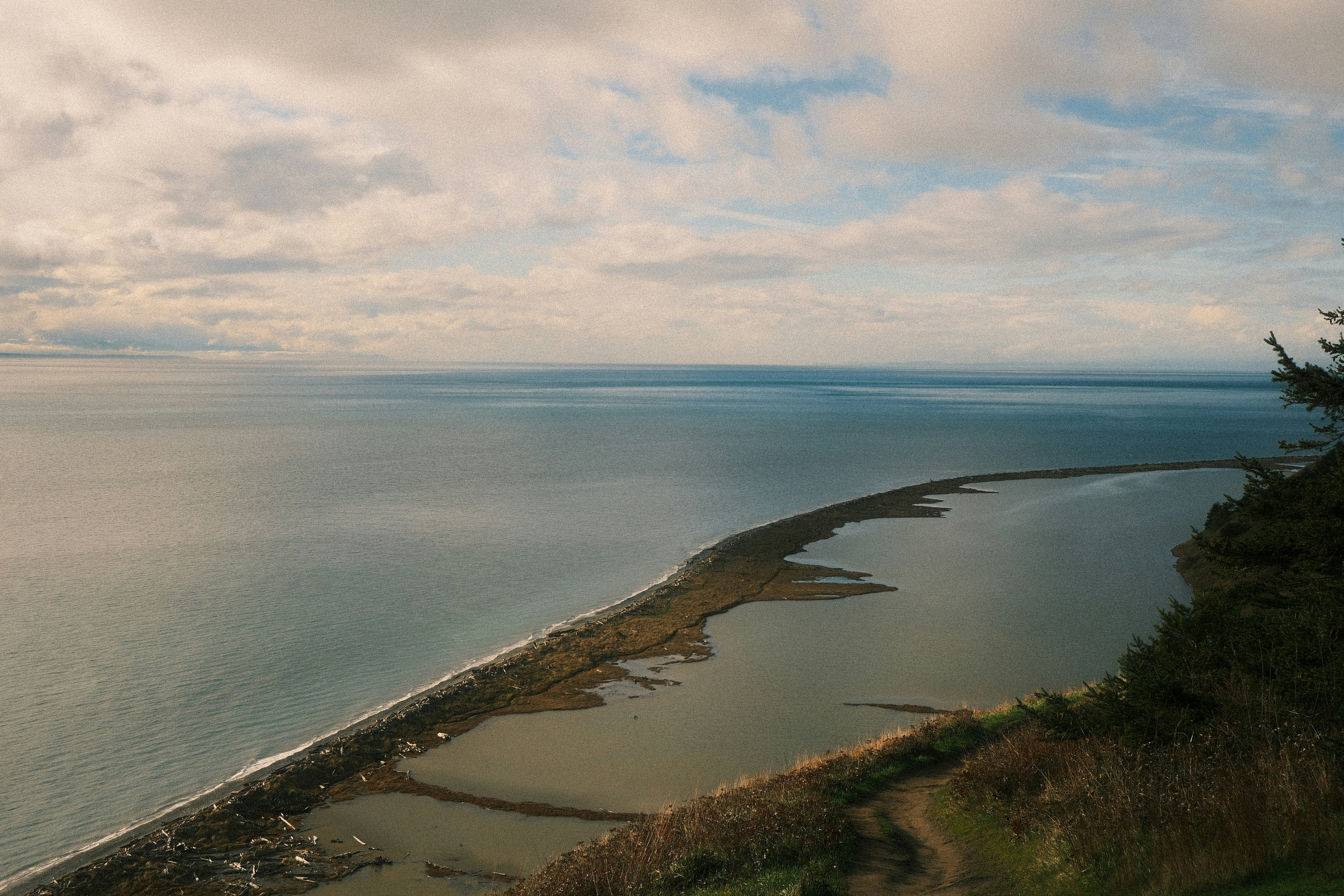 Coastal Curvature: A Quiet Shore Meets the Open Sea