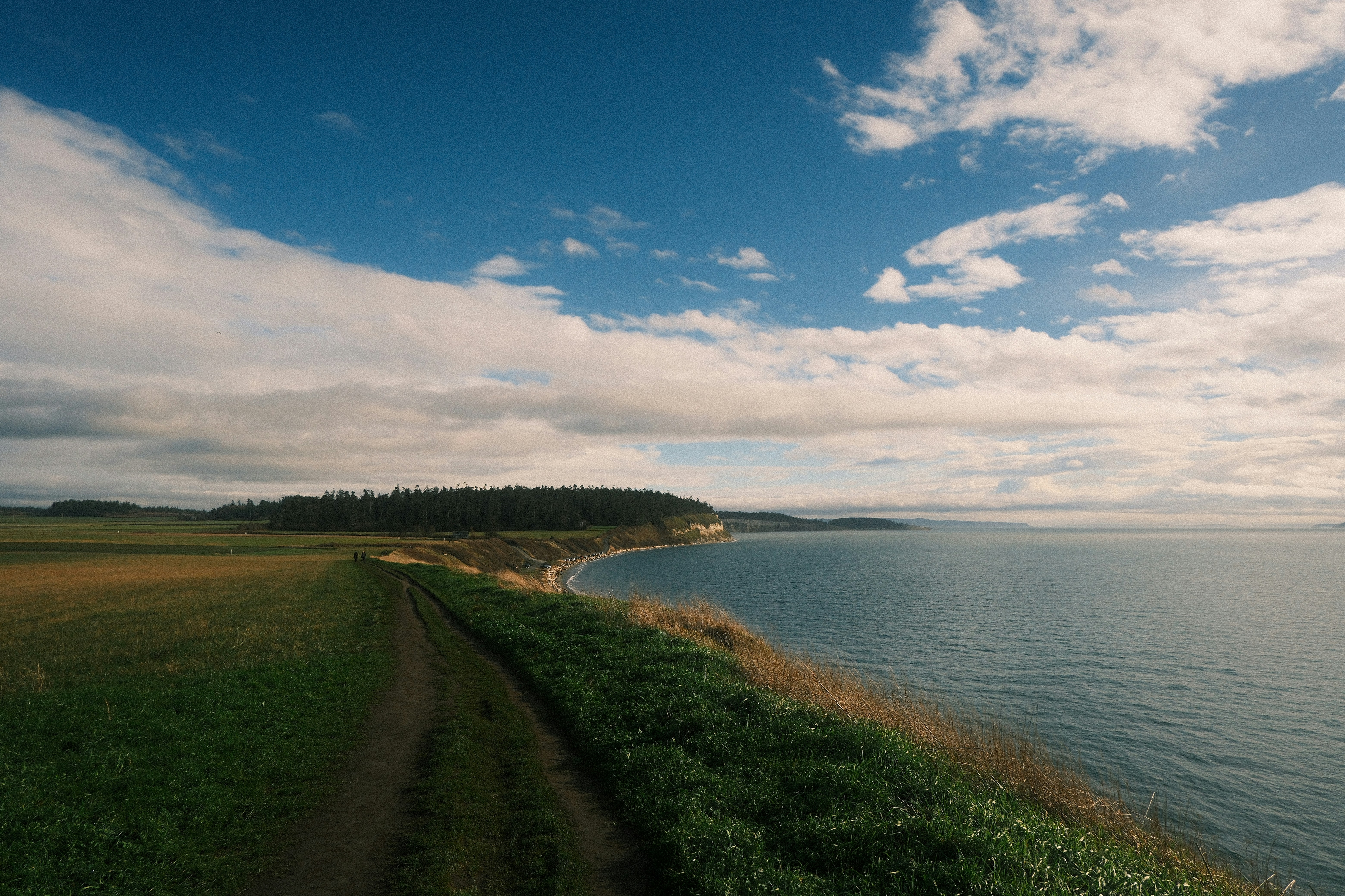 Coastal Path Carved by Wind and Tide
