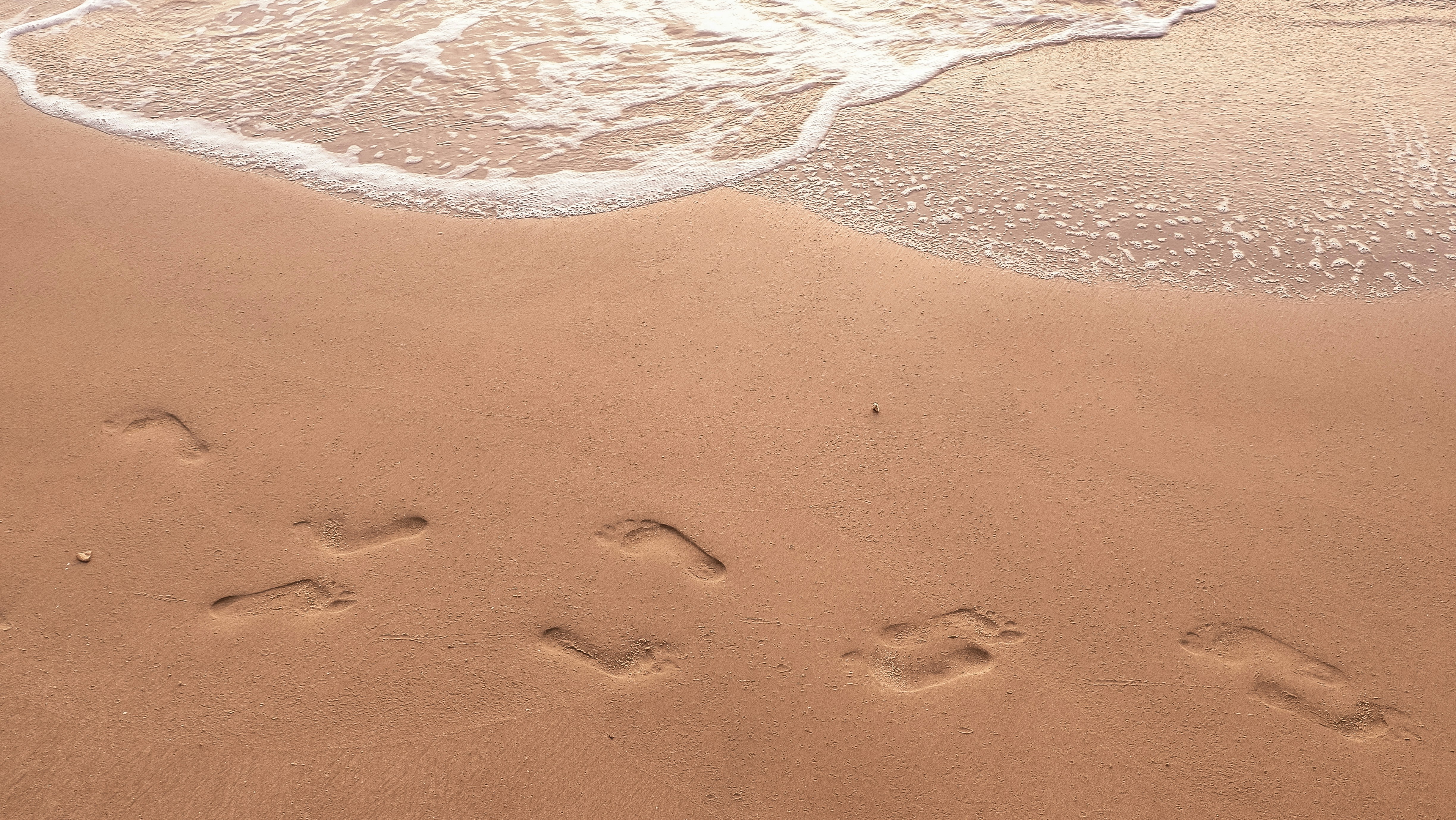 Footprints in Sunset Shoreline