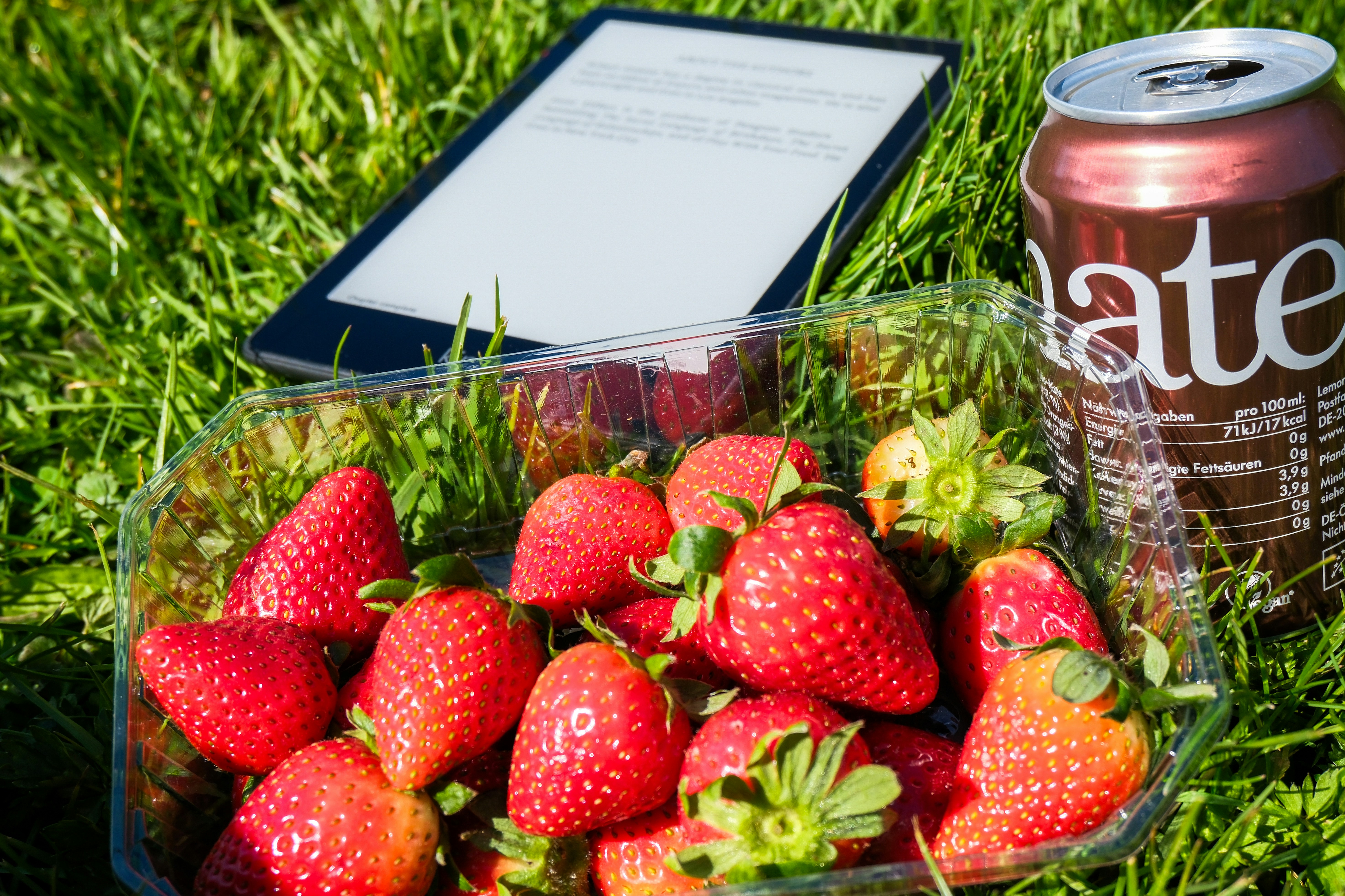 Sunlit Strawberry Snacking in a Field of Pixels