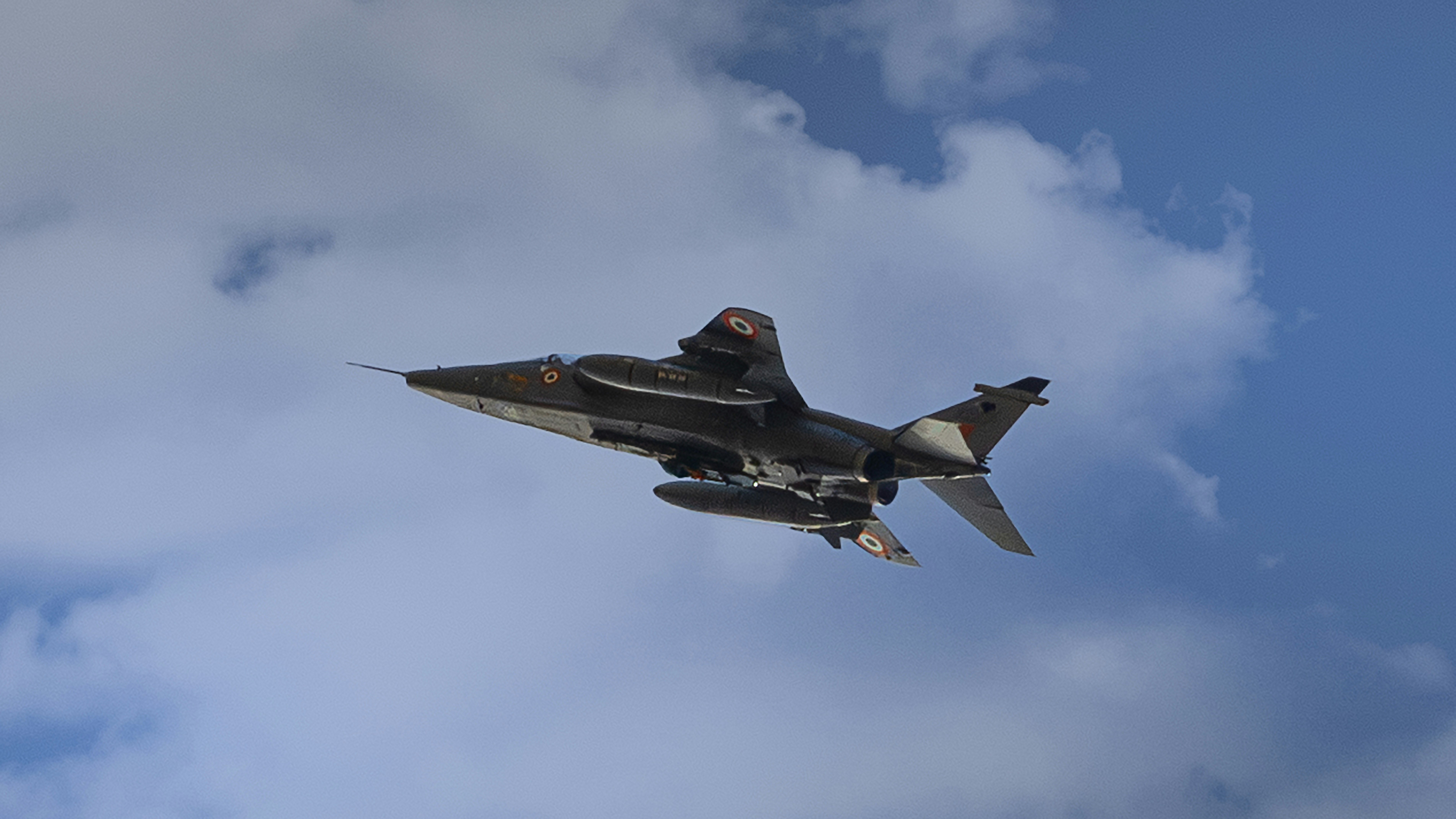 Dark Falcon in the Sky: A Close Pass Under Blue and Cloud
