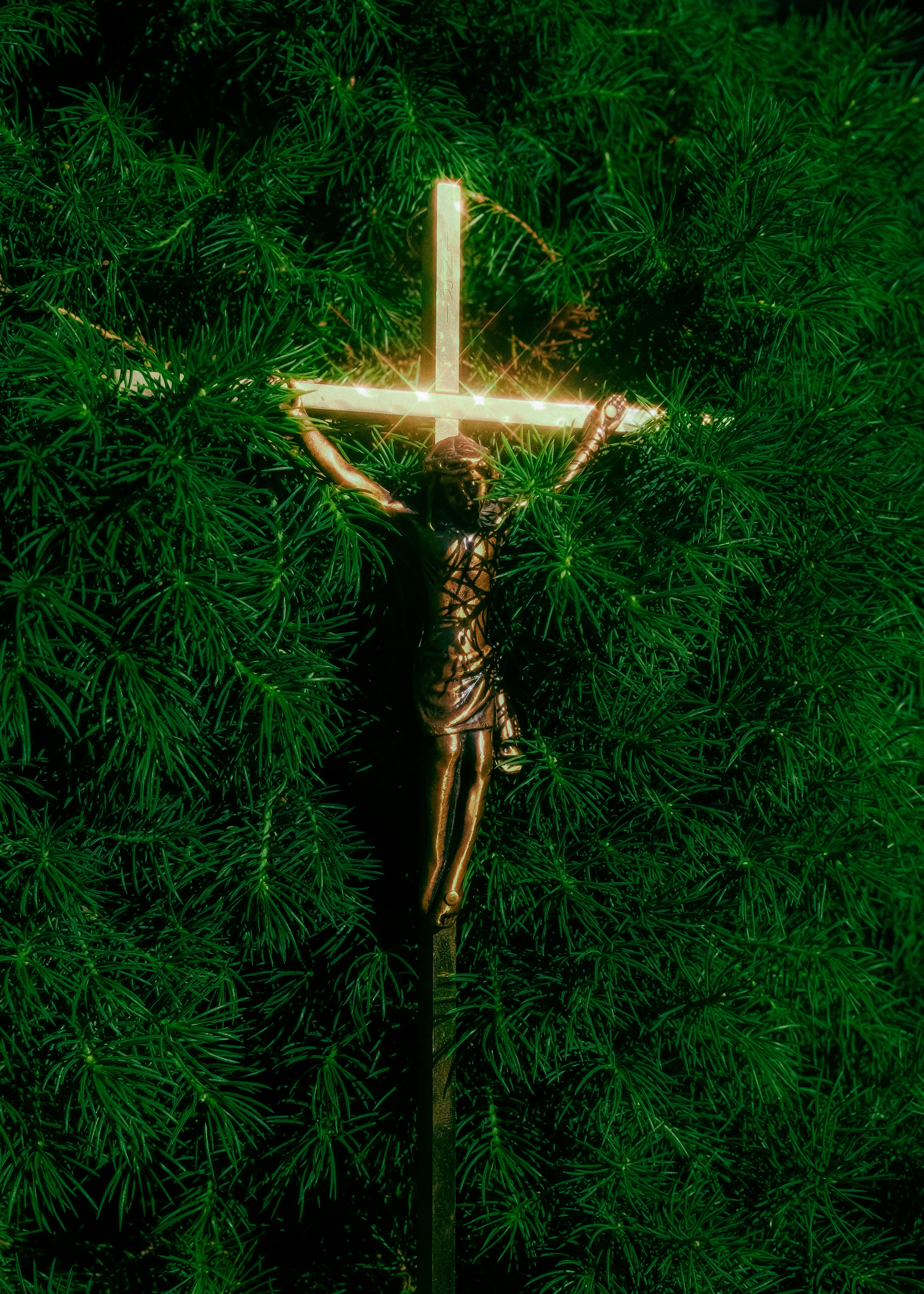 Golden Crucifix Amid Green Pines