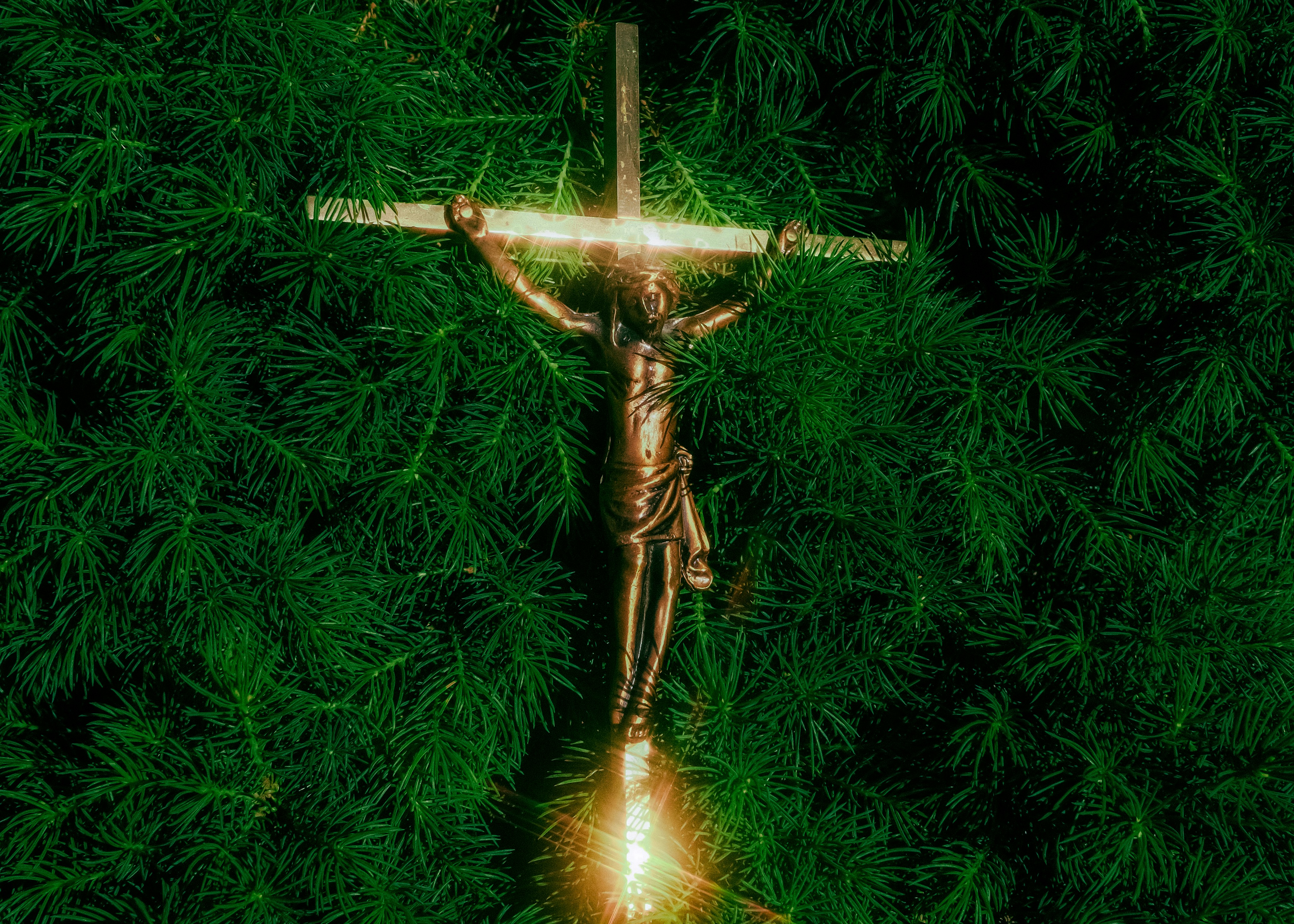 Guardian in Green: A Bronze Crucifix Centered Among Pine Whispers