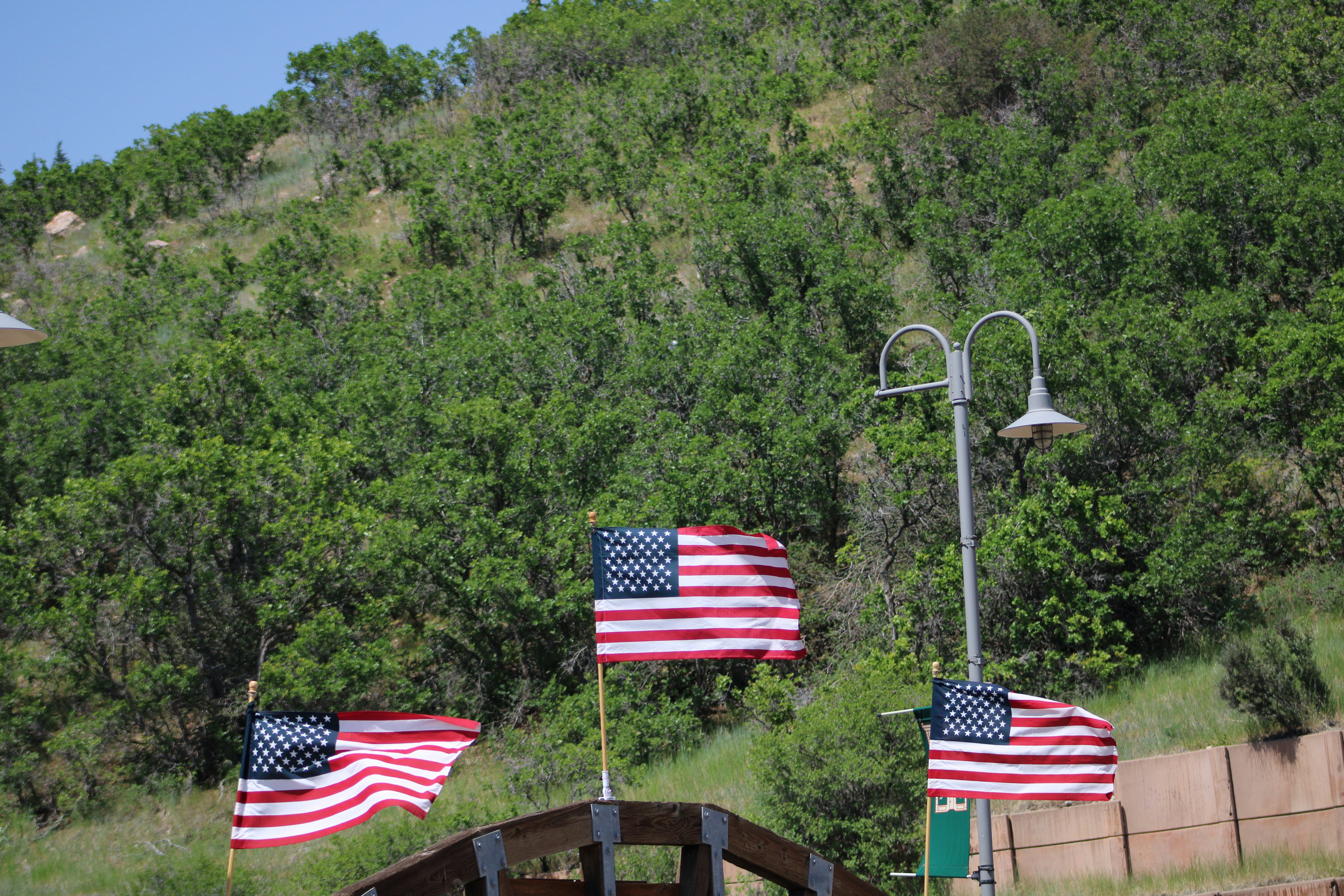 American Flags on a Sunny Hilltop