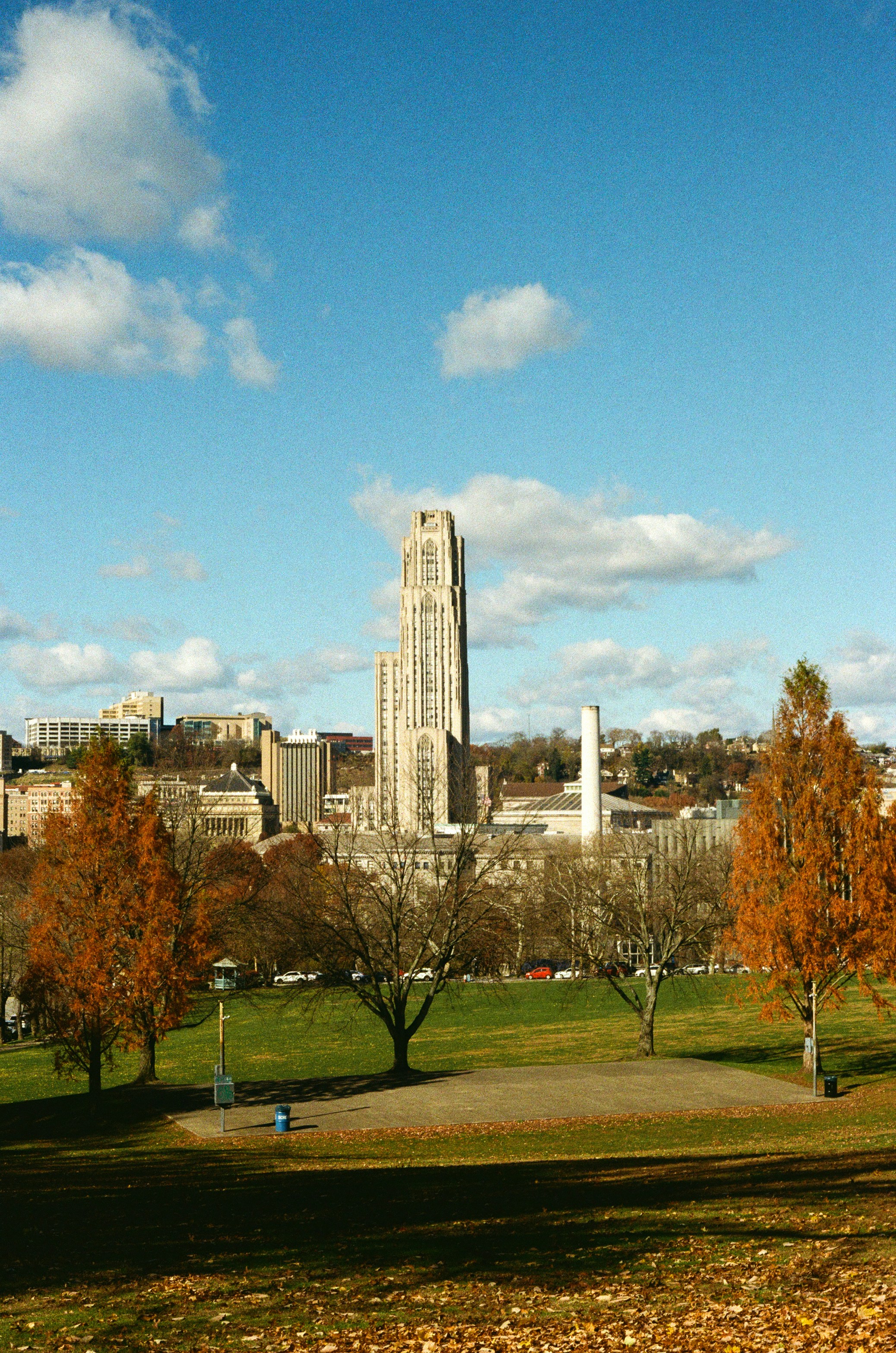 Towering vertical building dominates the cityscape behind a foreground of autumn trees and open park space.