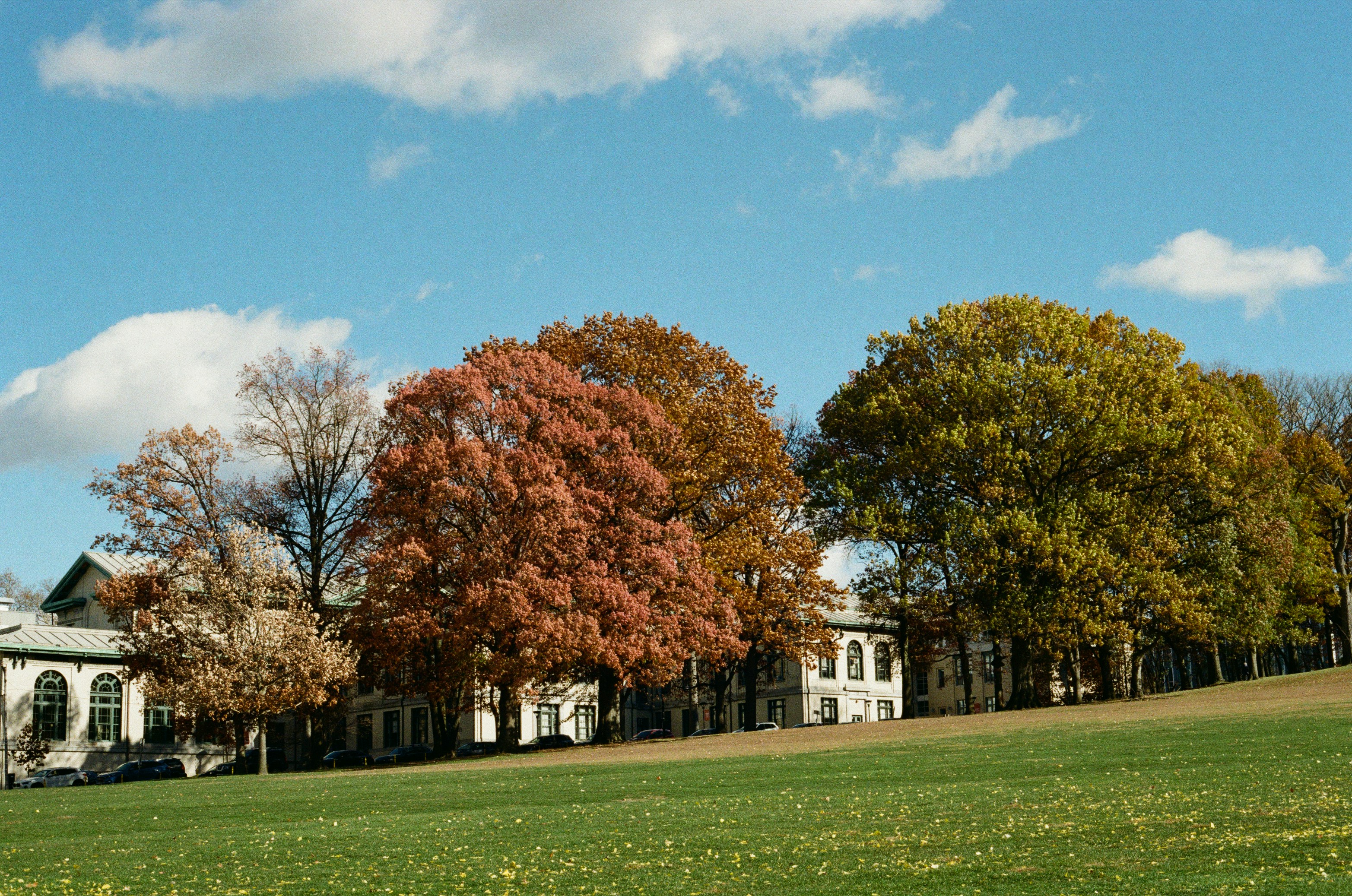 Autumn Row: A Campus Green Fringed by Multicolored Trees