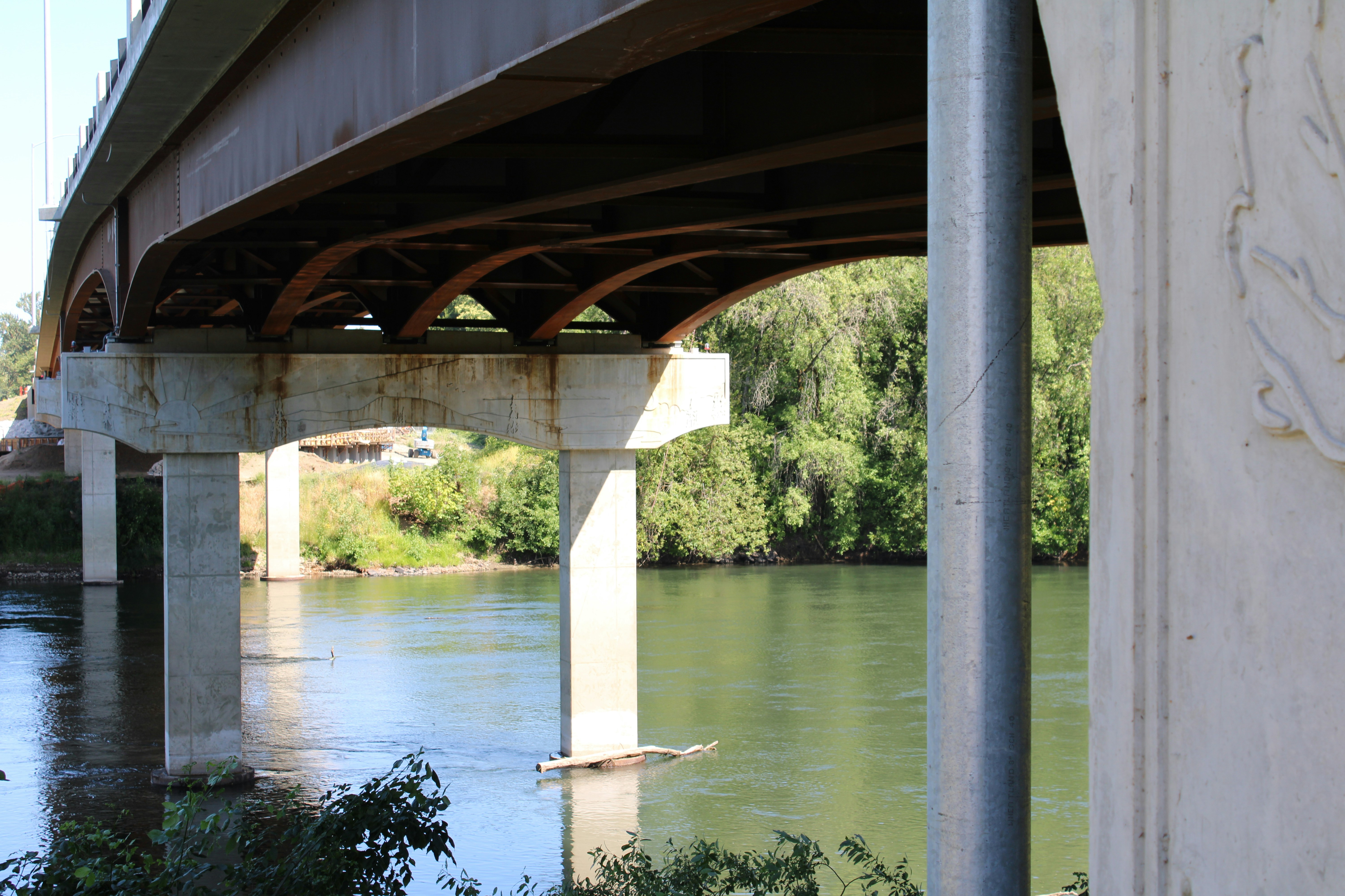 Under the Arc: Concrete Bridges and Quiet River