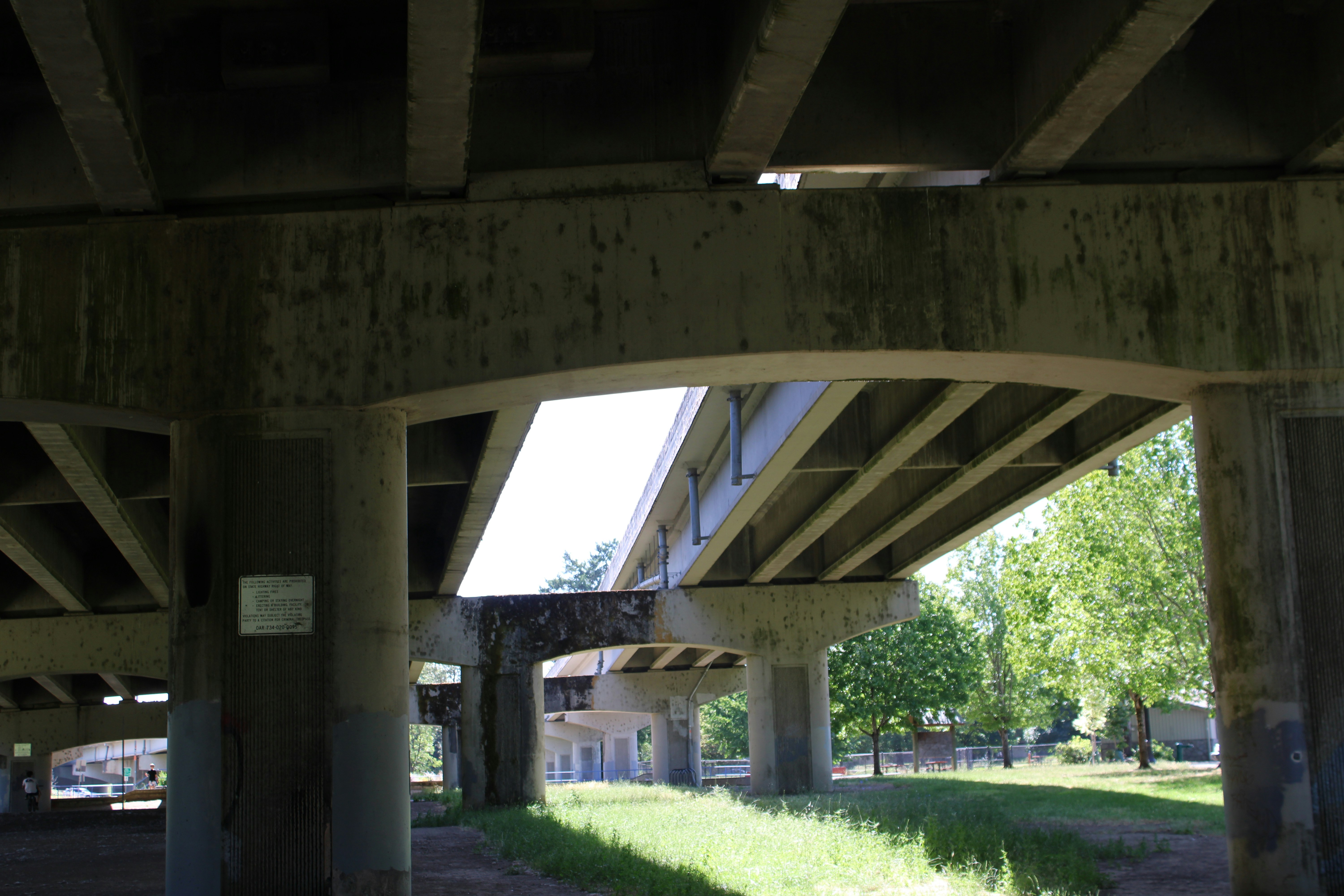 Concrete Canopy Overpass: Light Stripes Through a Hidden Park