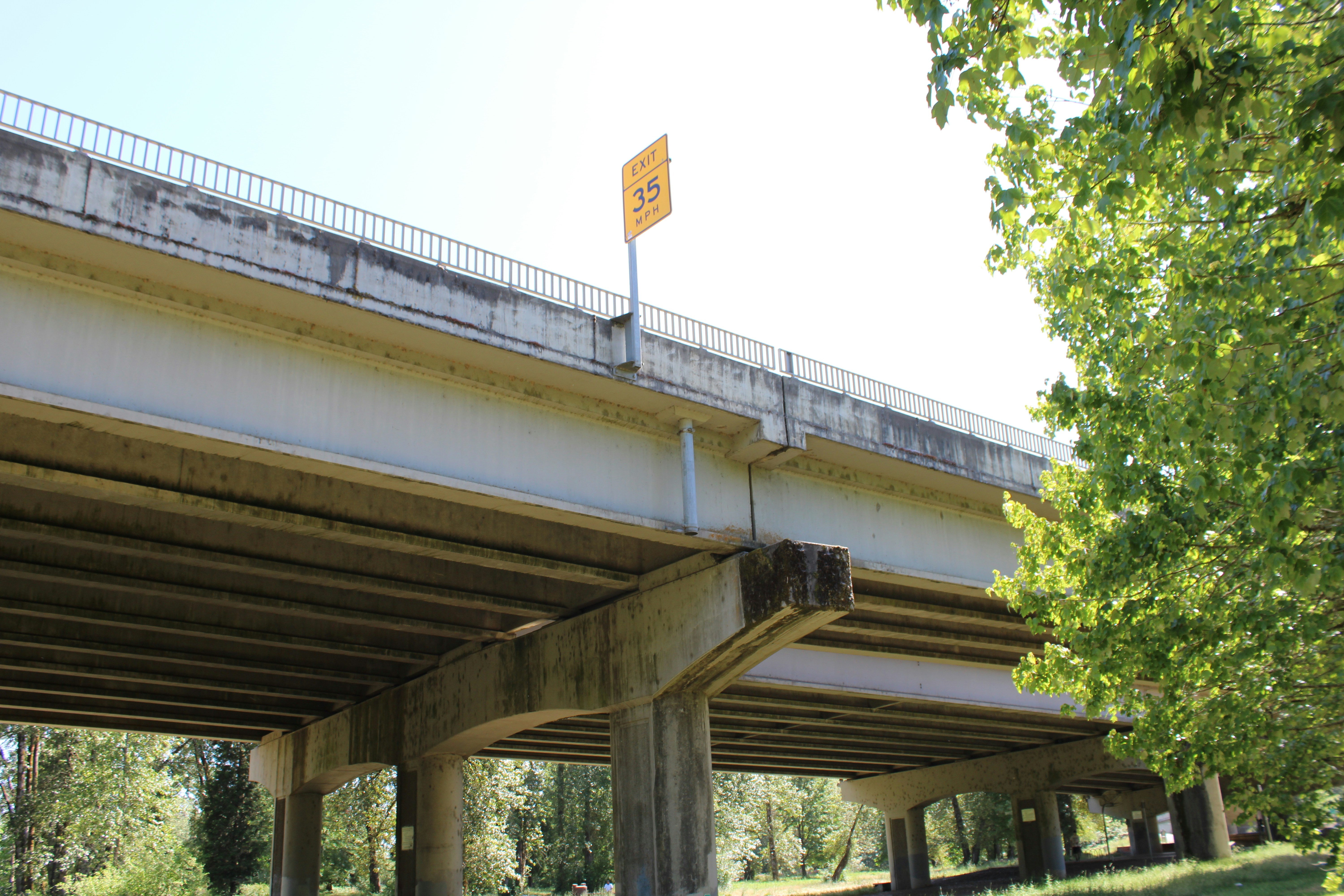 Under the Highway: concrete supports and sunlit greenery