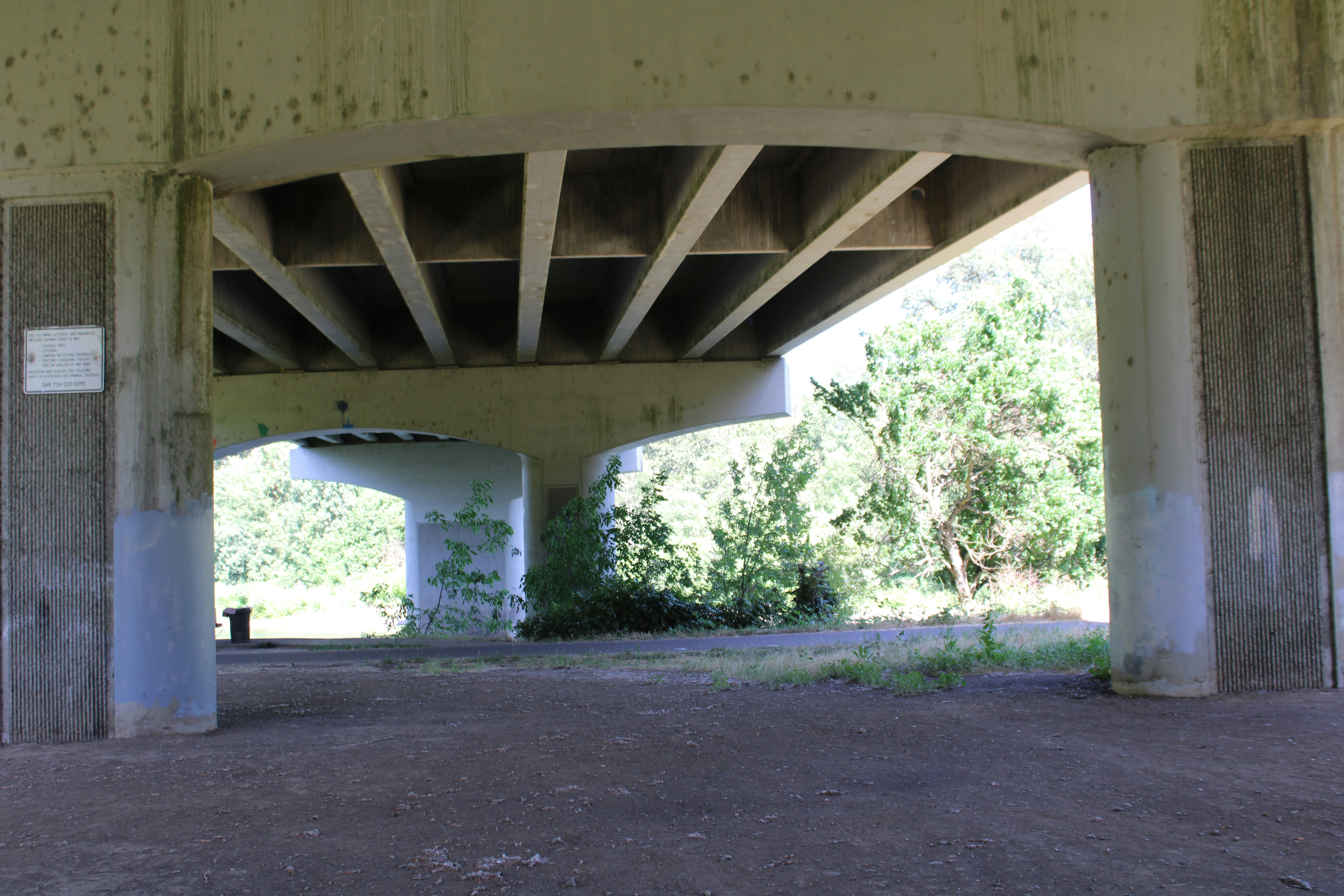 An eye-level shot from beneath a massive highway overpass captures a grid of concrete beams casting shadows over a dirt area, framing a sunlit paved multi-use path and lush green trees in the background.