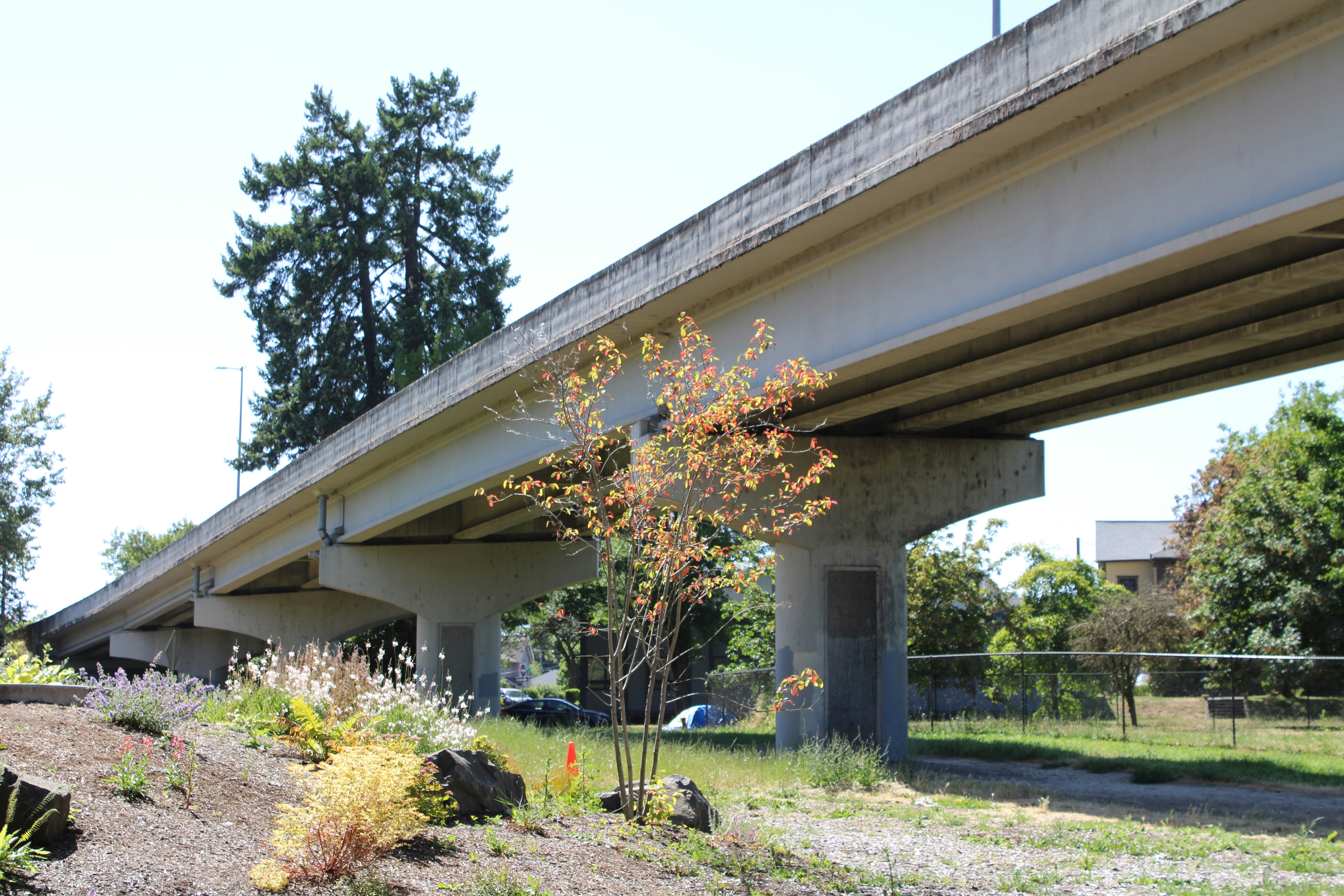 Low Bridge Overpass Framed by a Small Park Patch