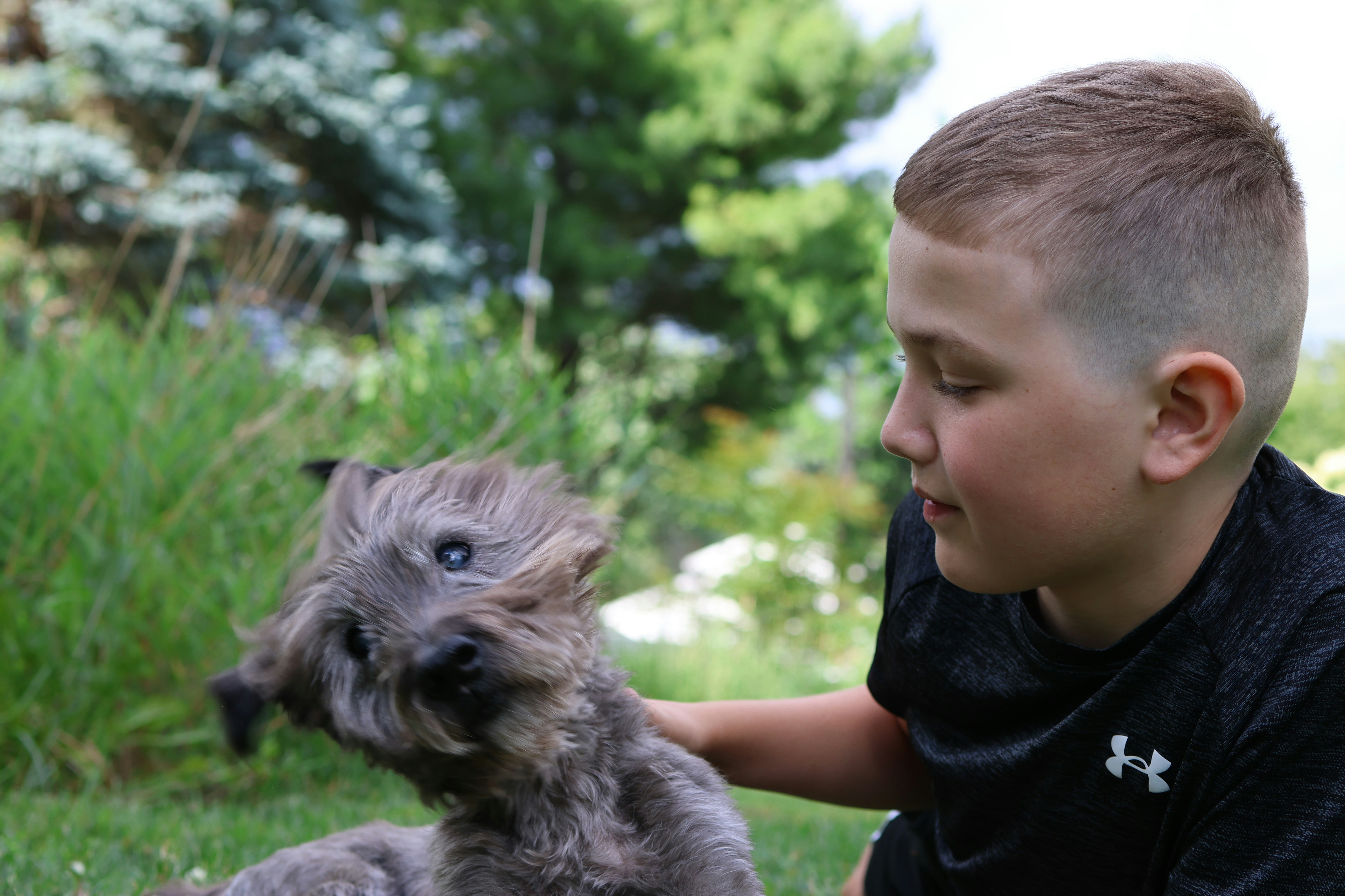 Boy and Terrier Friend share a playful moment in a sunny garden