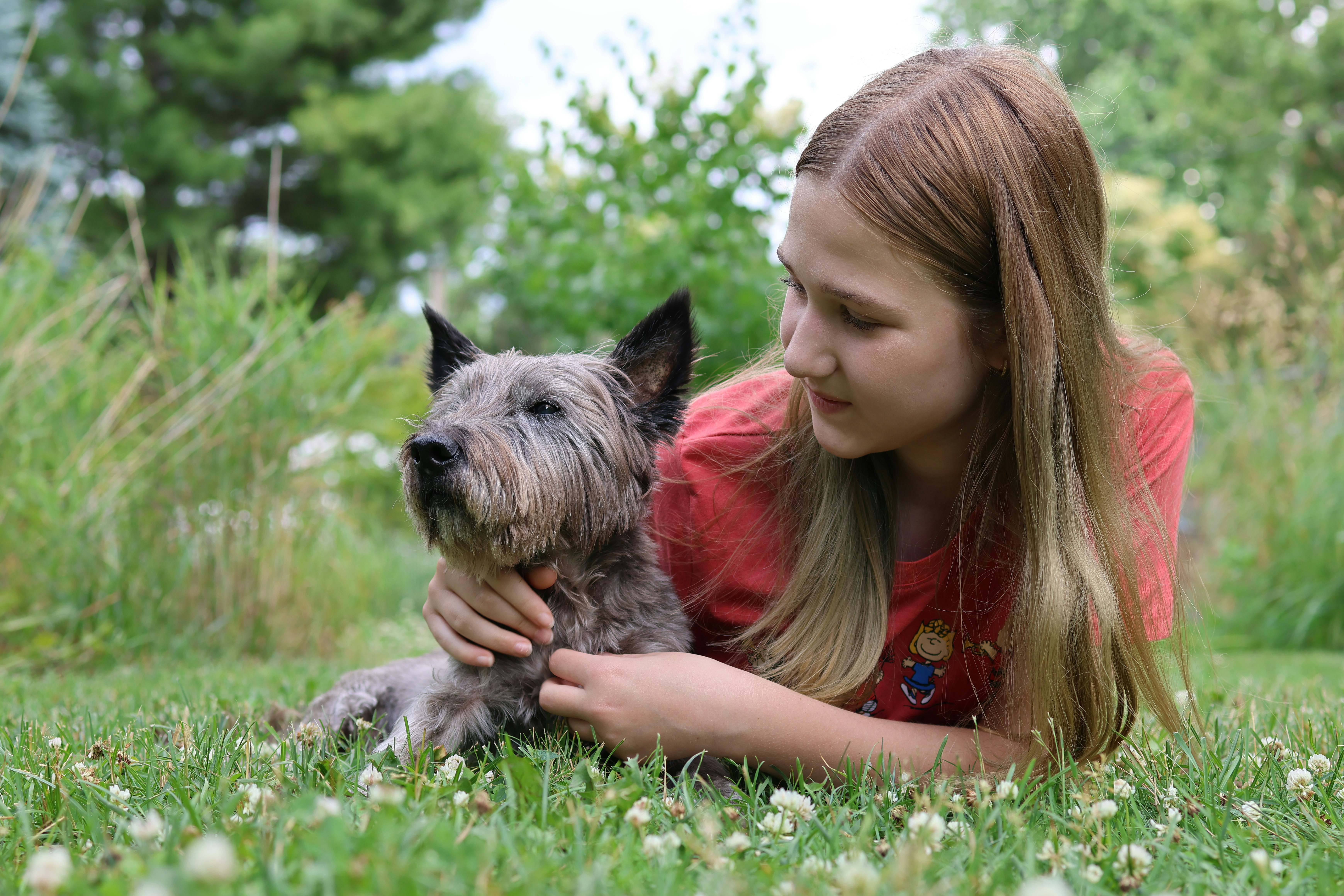 Girl and Her Terrier: Soft Moment on a Sunlit Lawn
