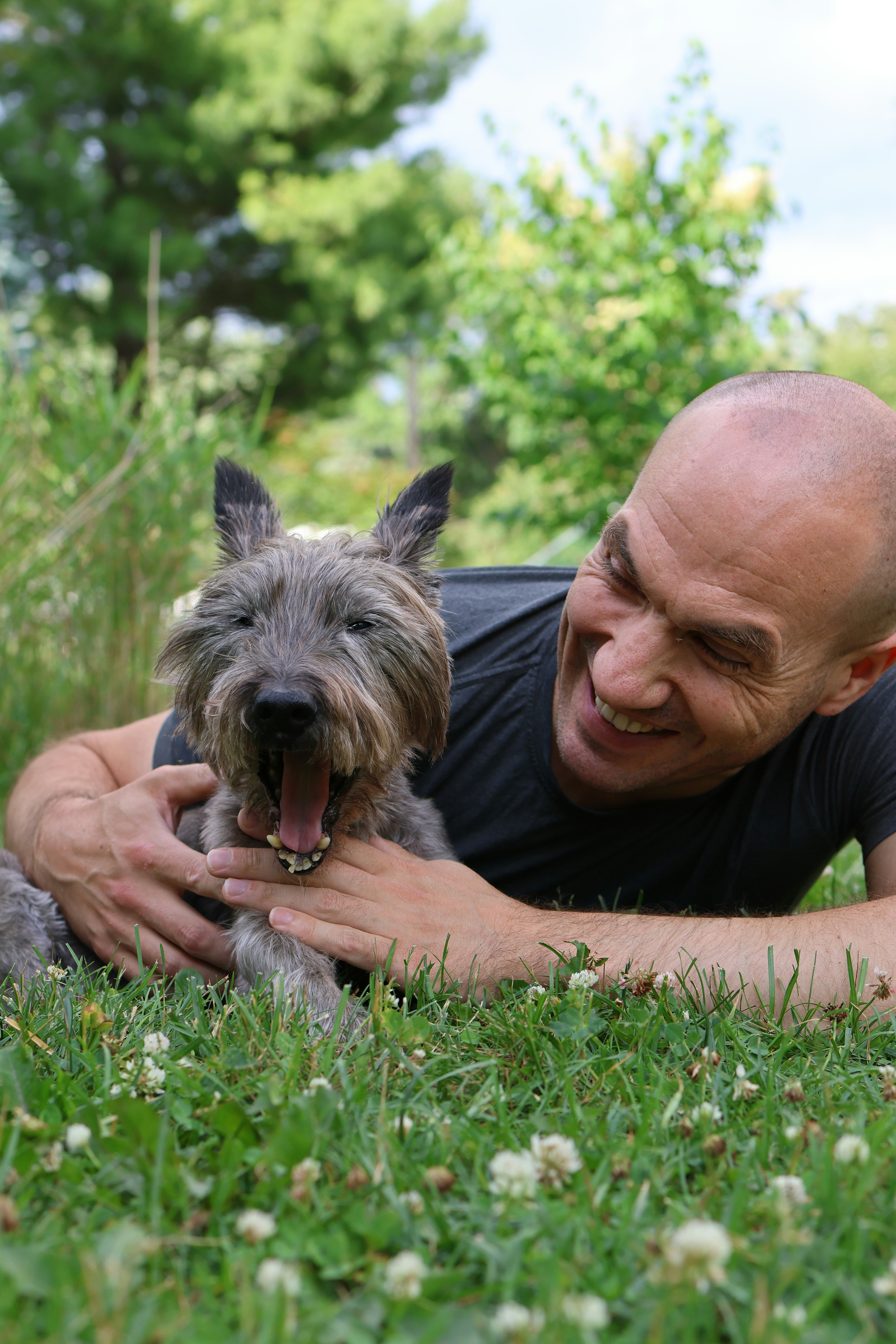 Joy in the Grass: Man and Dog Share a Lively Afternoon
