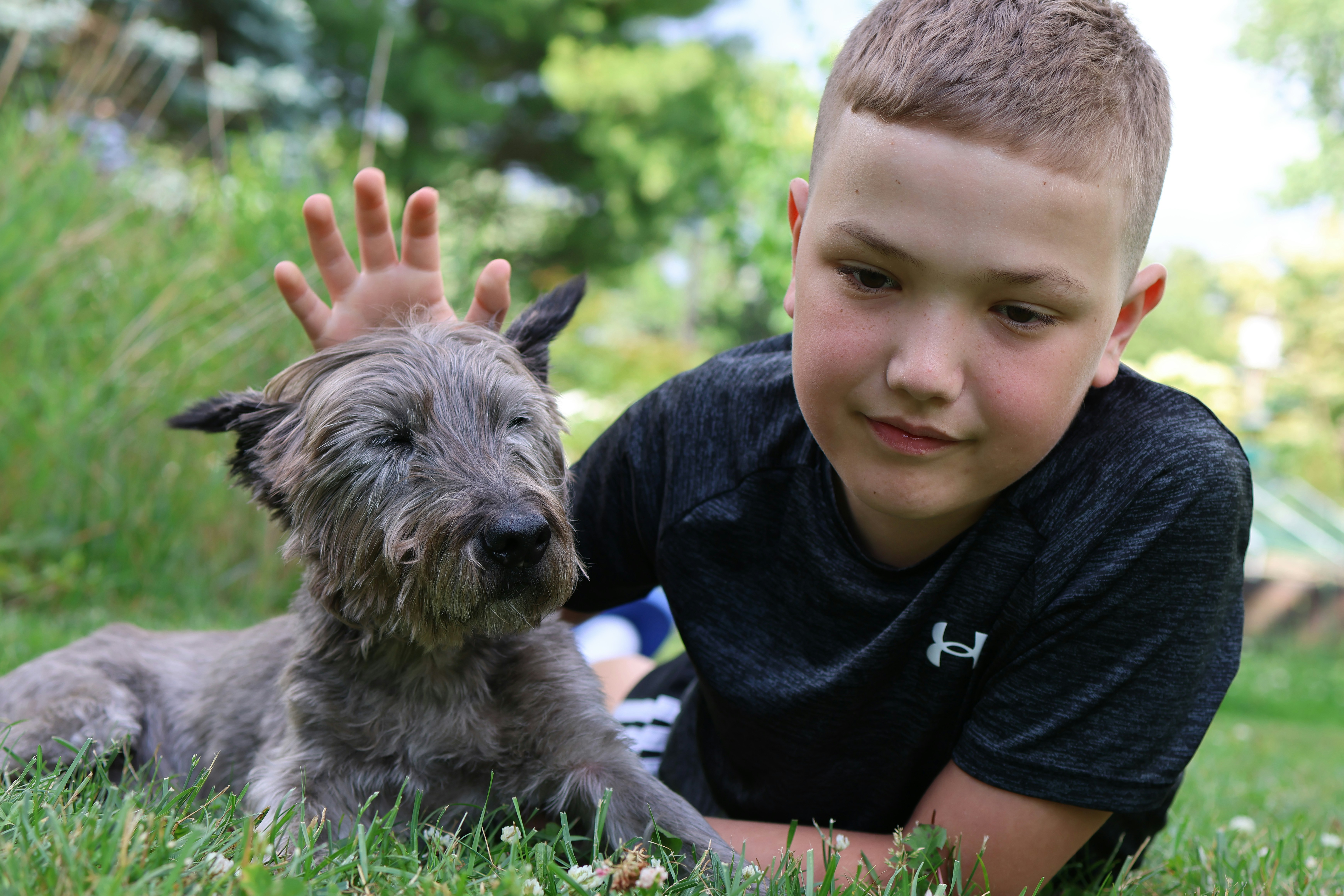 Laughter in Grass: Boy and Scruffy Terrier Share a Quiet Moment