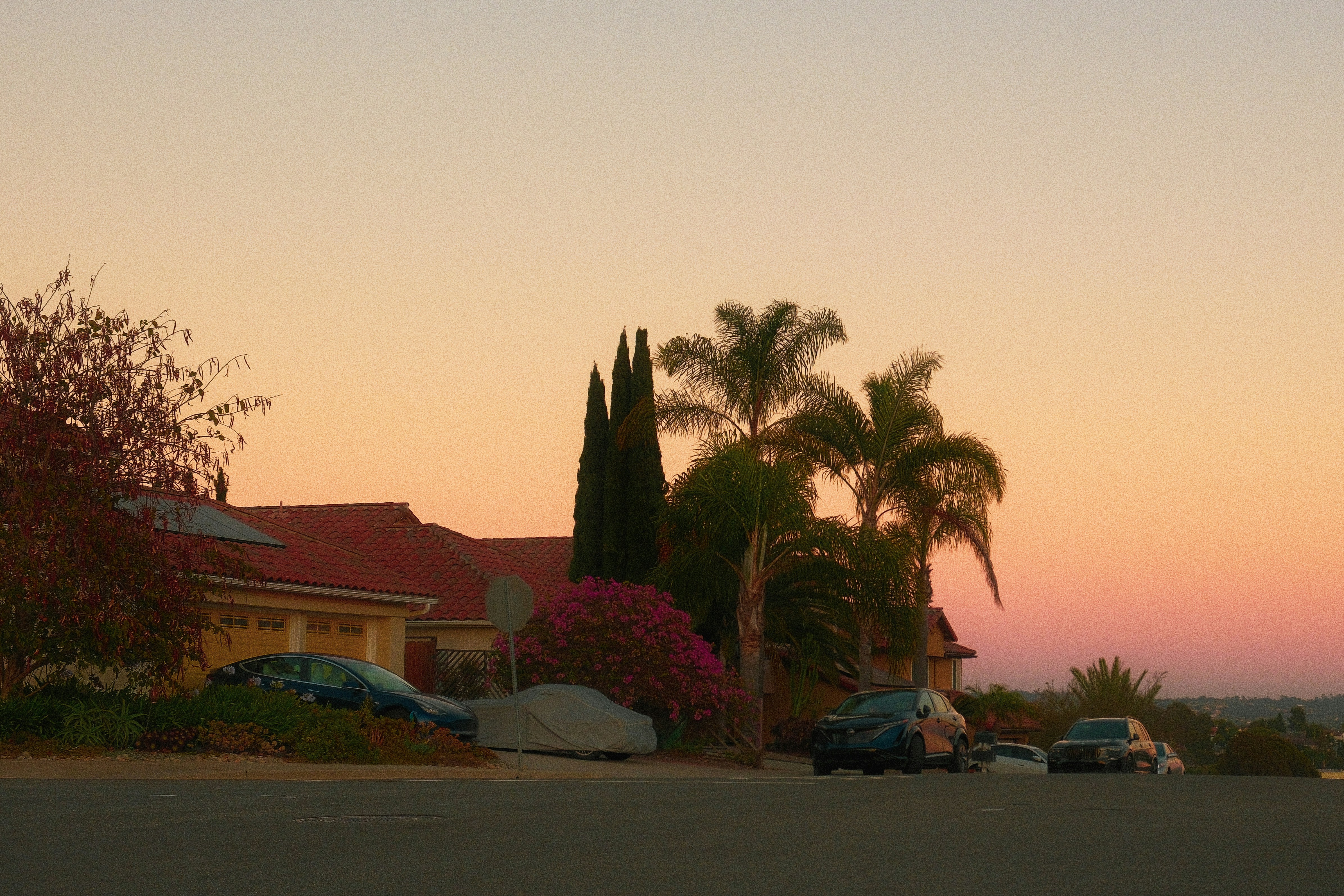 Sunset Suburb: Palm silhouettes and a quiet cul-de-sac